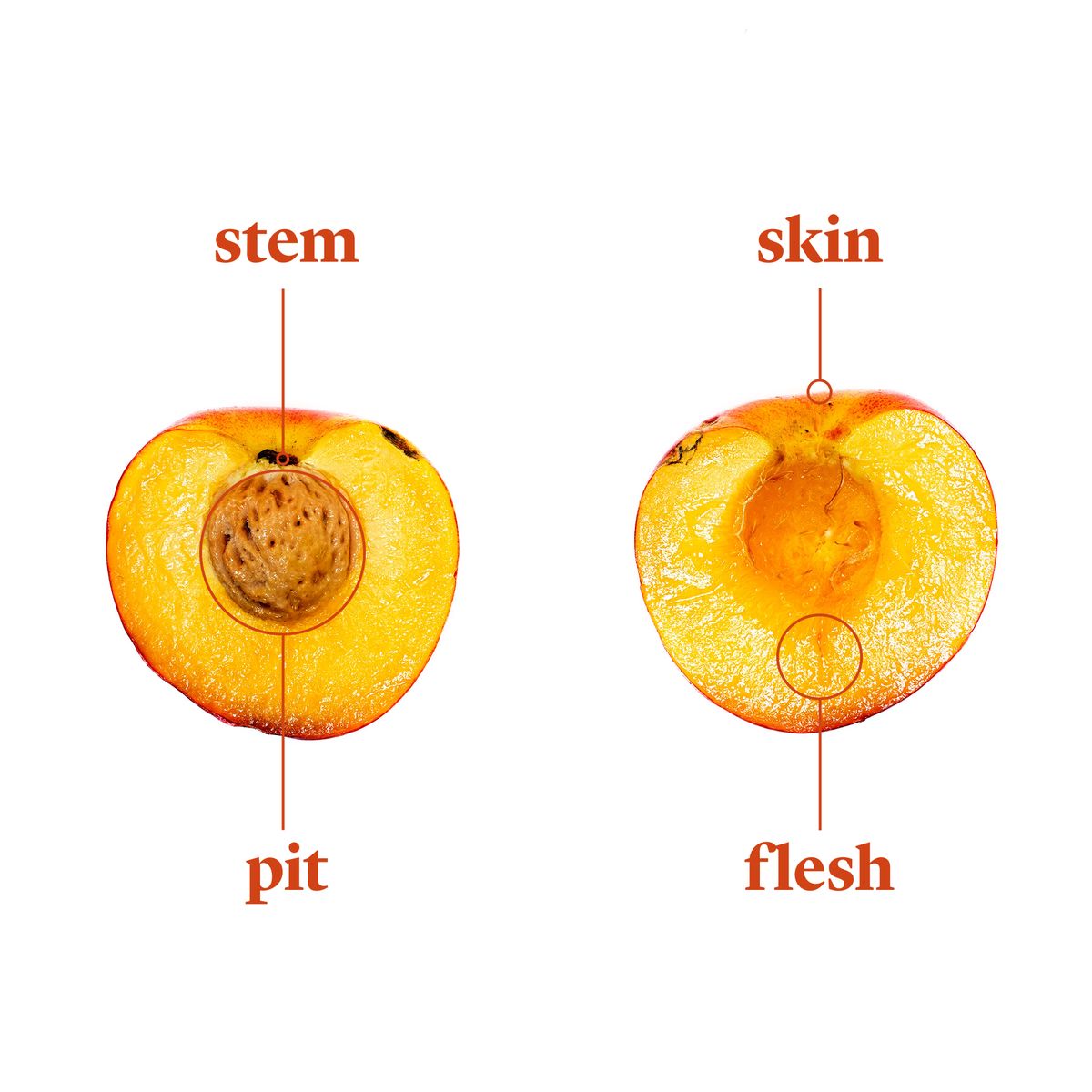 Everything to Know About Cooking and Shopping for In Season Nectarines ...