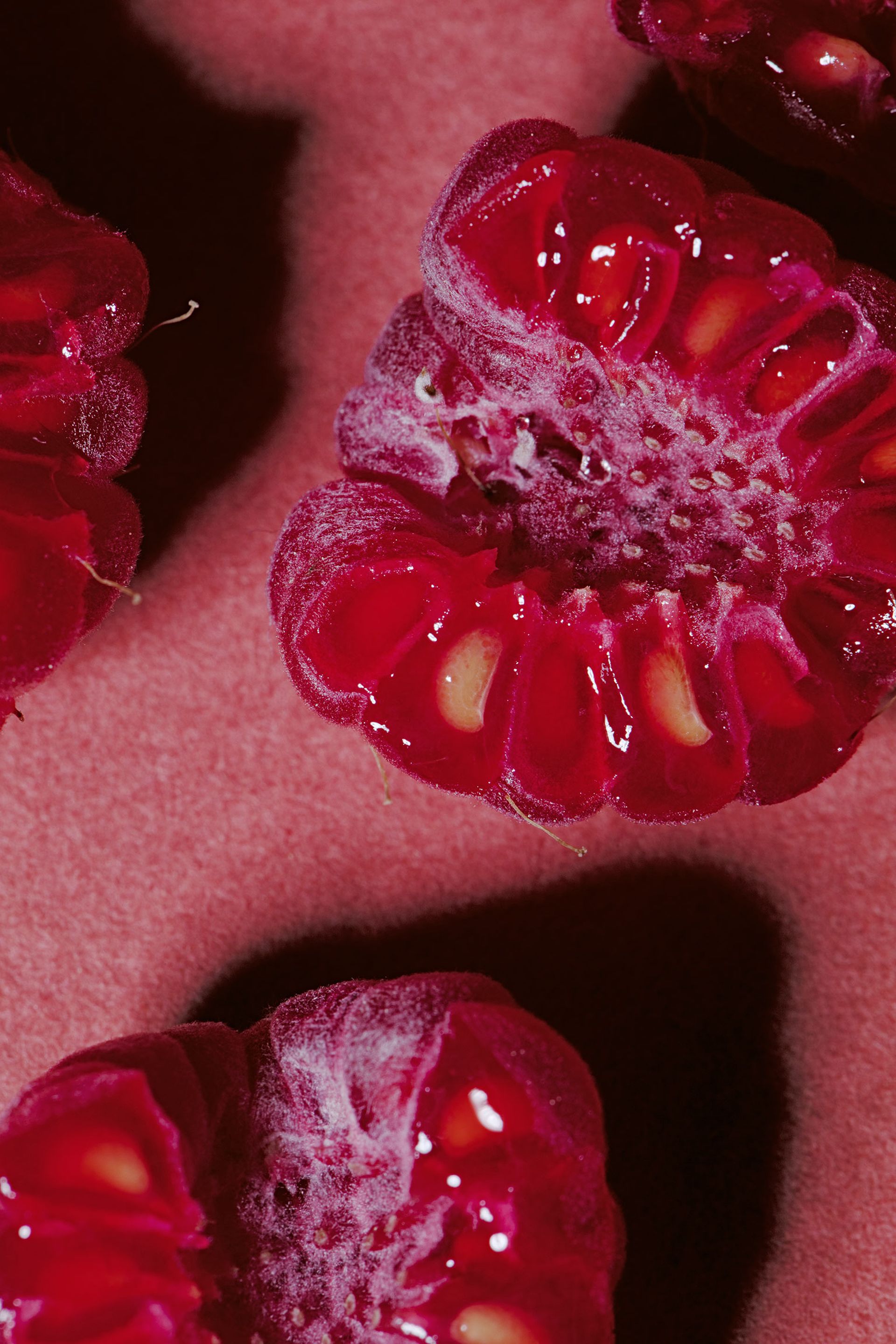 Everything to Know About Shopping, Storing, and Preparing In Season ...