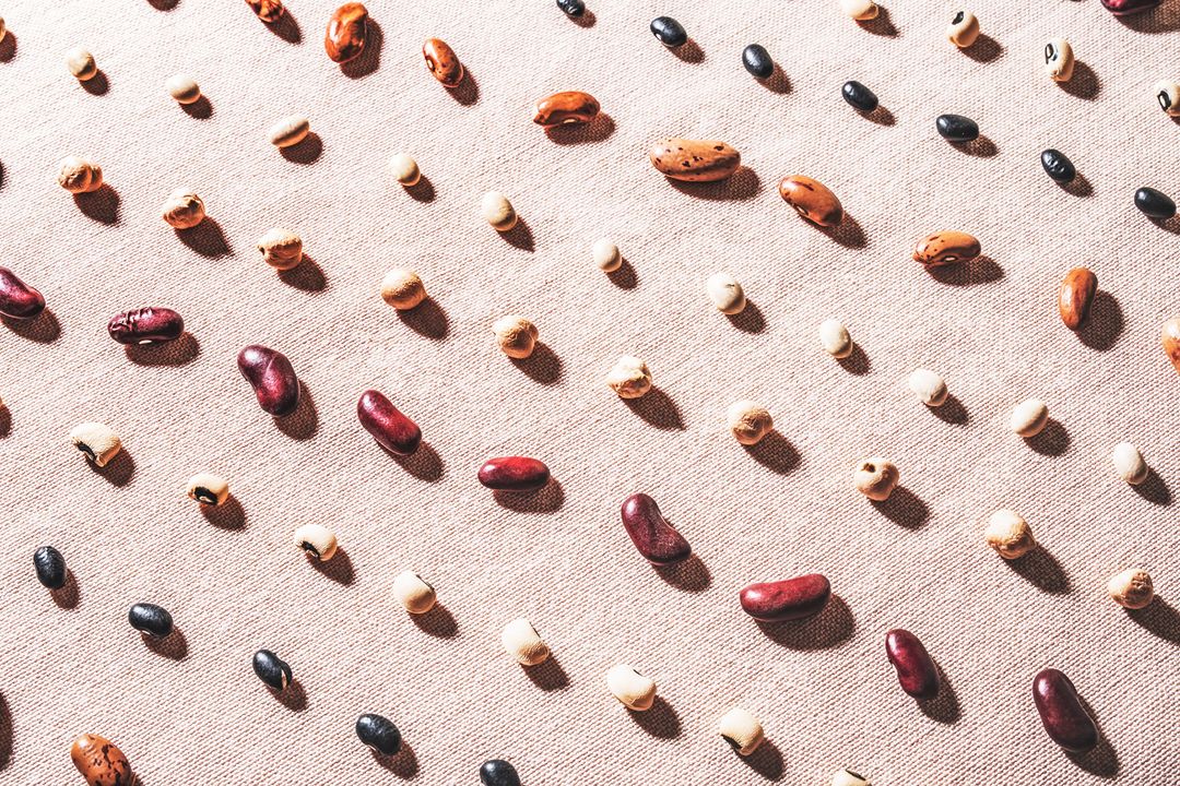 Spilling the Beans: A Guide to Our Favorite Legume | Stories | Kitchen ...