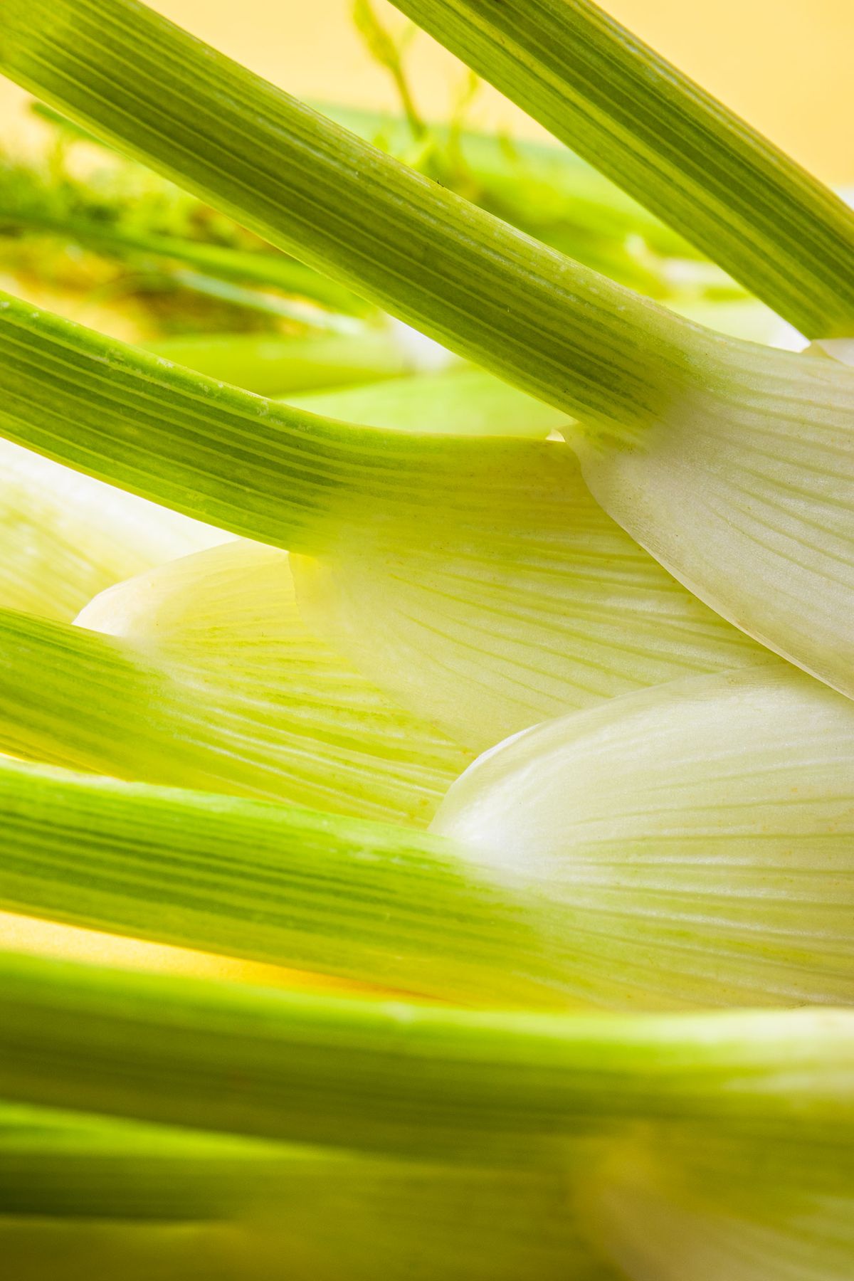 Everything You Need to Know About Preparing and Storing In Season ...