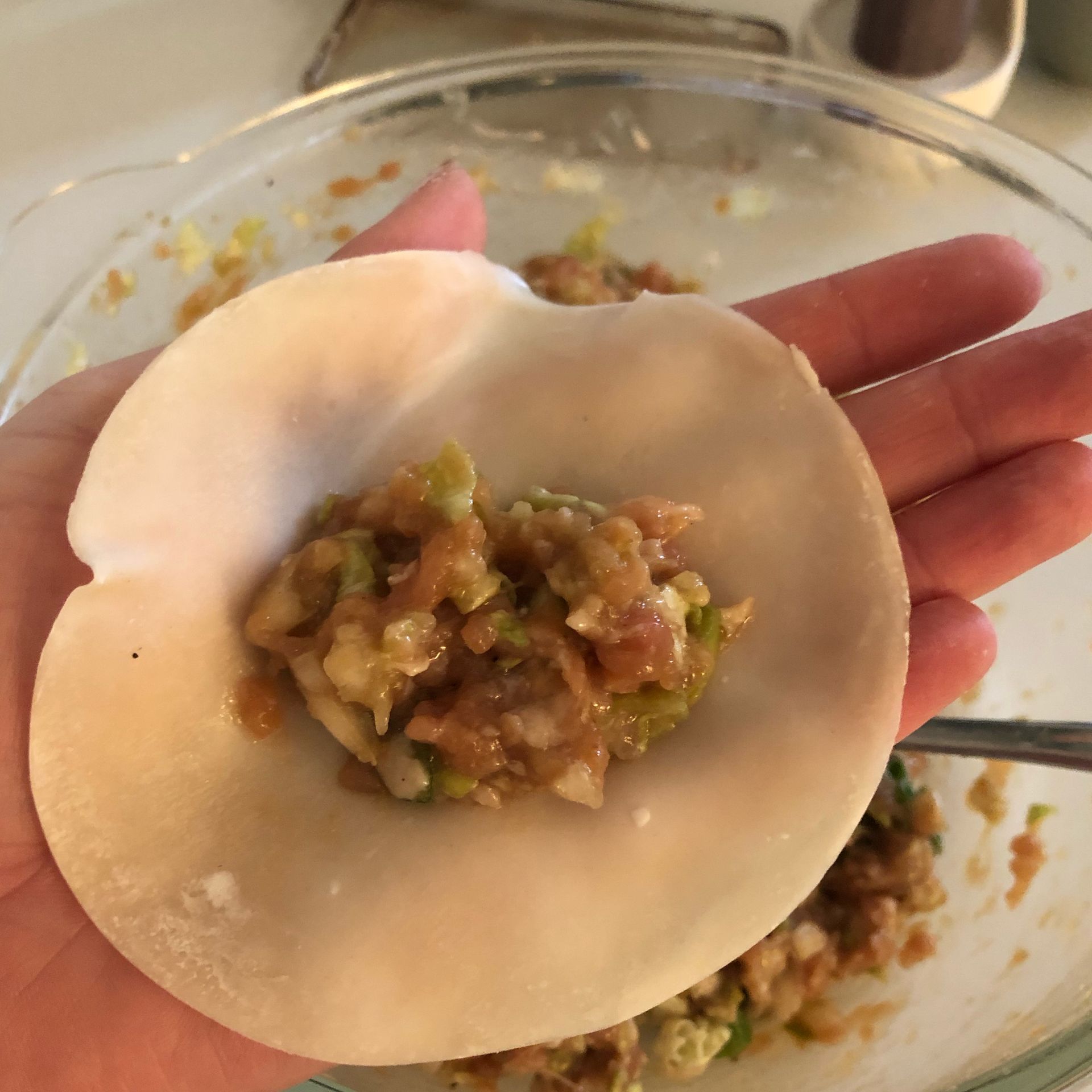 Chicken gyoza | Recipe | Kitchen Stories
