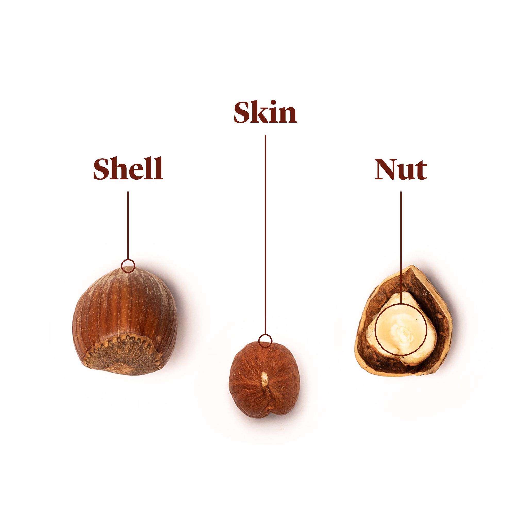 Everything You Need to Know About Cooking and Shopping for In Season ...