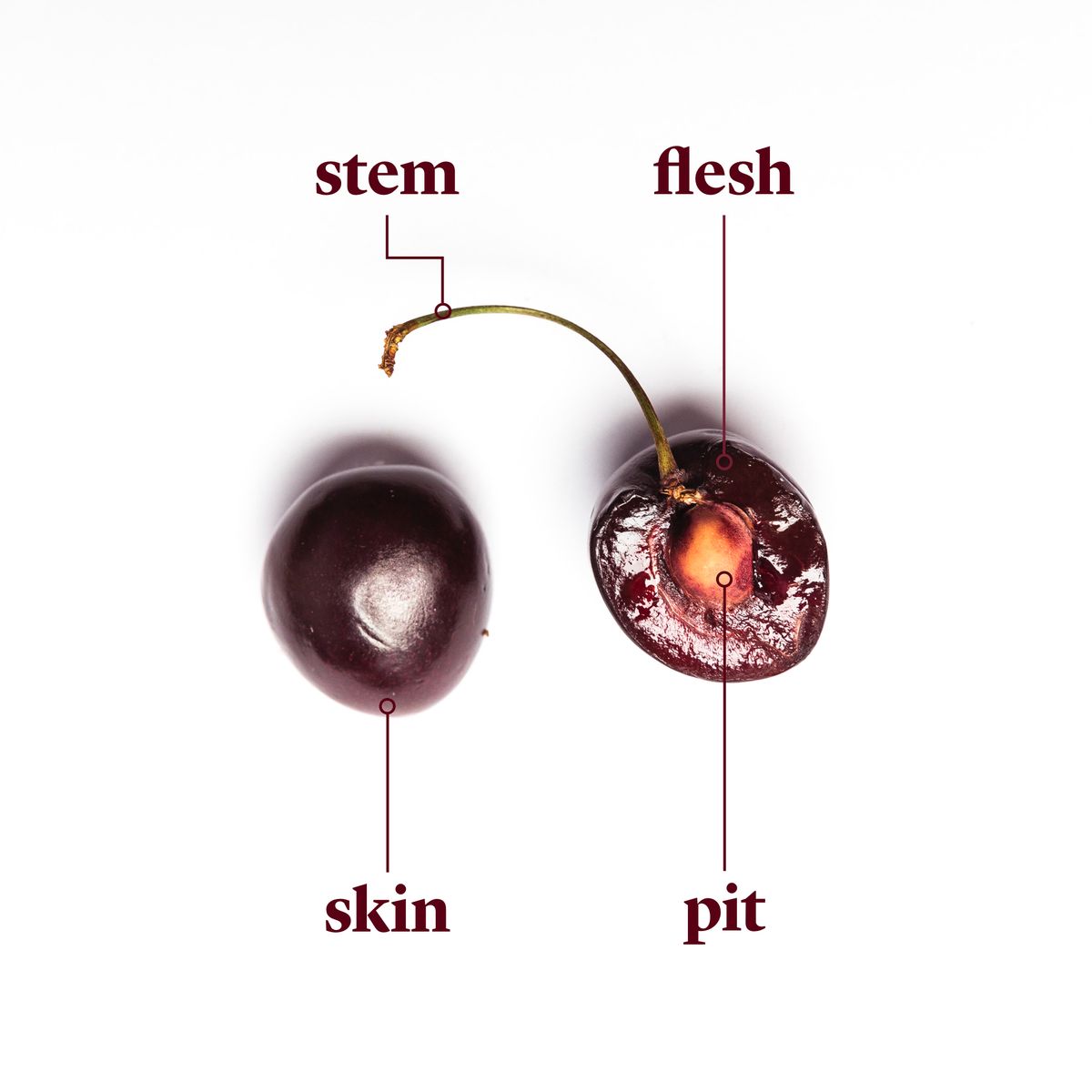 Everything to Know About Cooking and Shopping for In Season Cherries ...