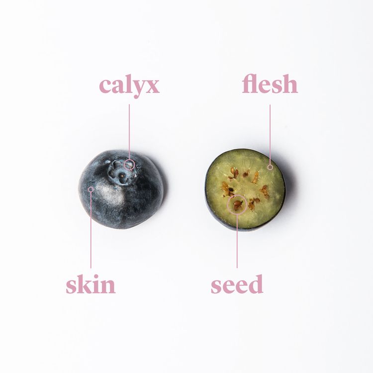 Everything to Know About Cooking and Shopping for In Season Blueberries ...