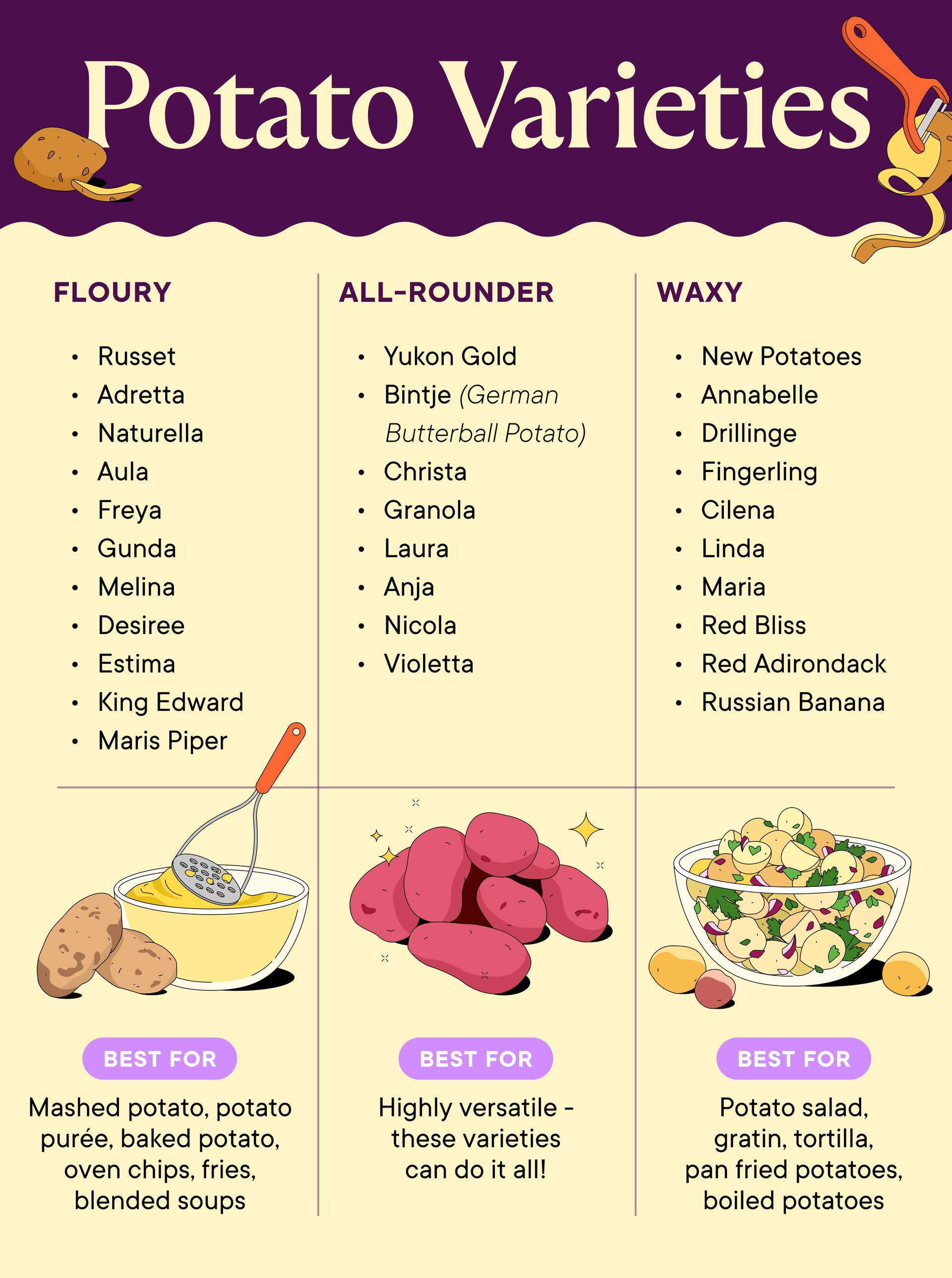 Know Your Potatoes: Choosing the Right Potato for Your Dish | Stories ...