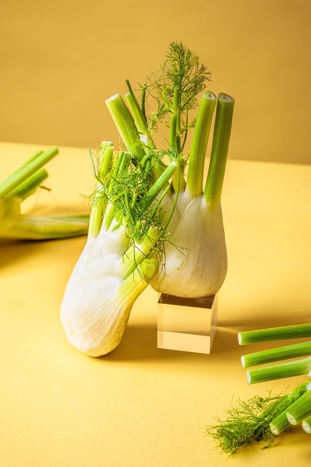 Everything You Need to Know About Preparing and Storing In Season ...
