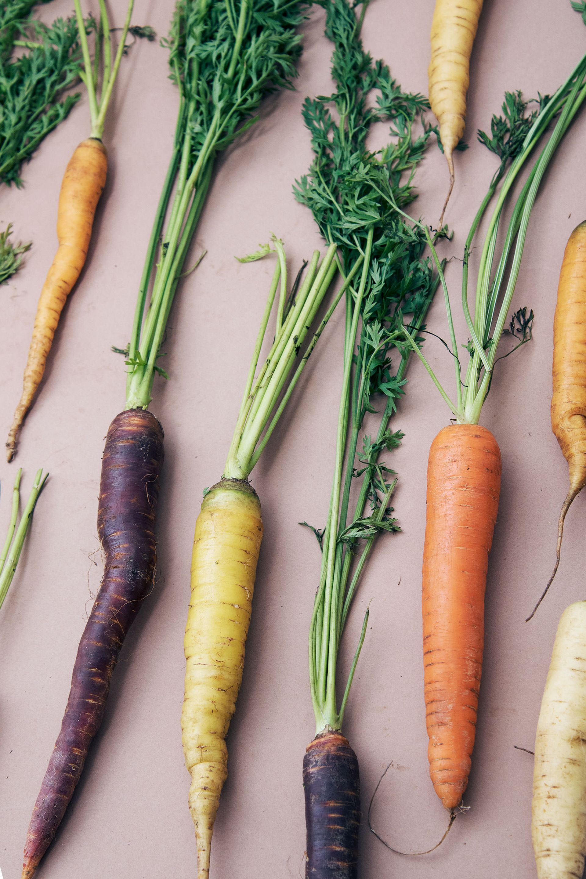 Everything to Know About Cooking and Shopping for In Season Carrots ...