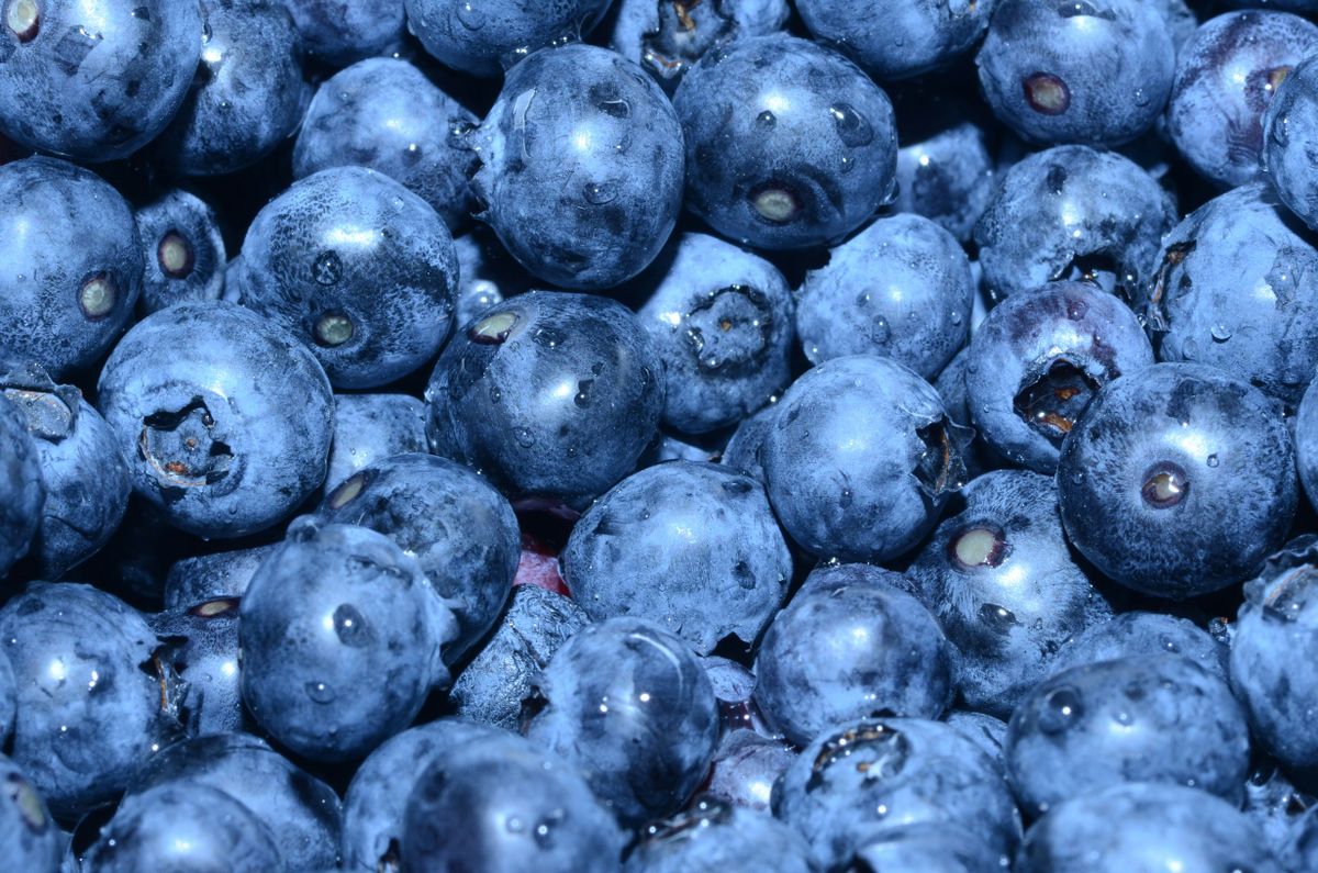 Pesticides Found – Recall of Blueberries at Penny | Stories | Kitchen ...