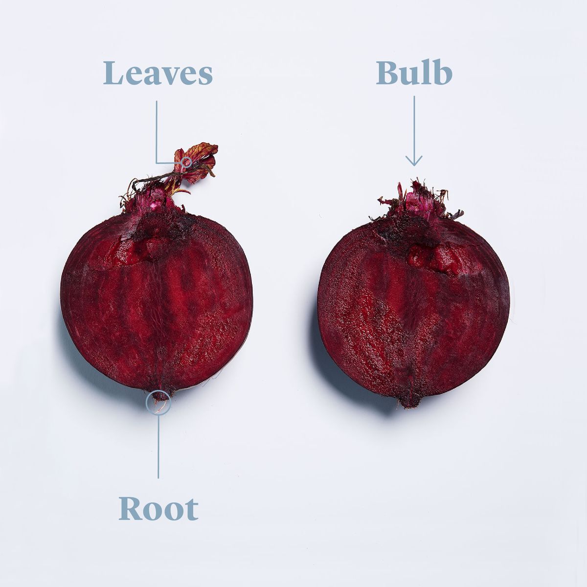 Everything to Know About Cooking and Shopping for In Season Beetroot ...