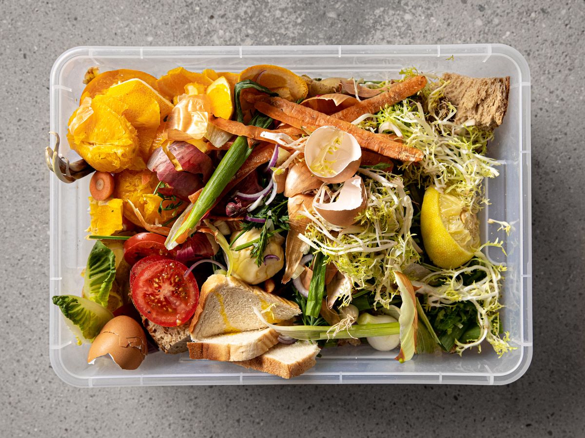 Zero Waste Challenge: How to Go Zero Waste for 7 Days | Stories ...