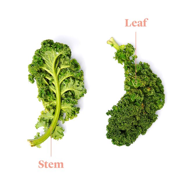 Everything to Know About Cooking and Shopping for In Season Kale ...
