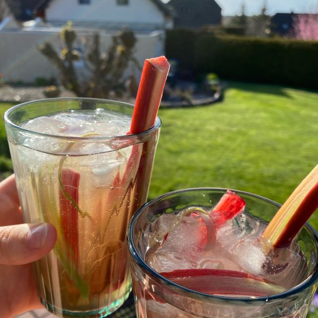 Cocktails Mit Rhabarber