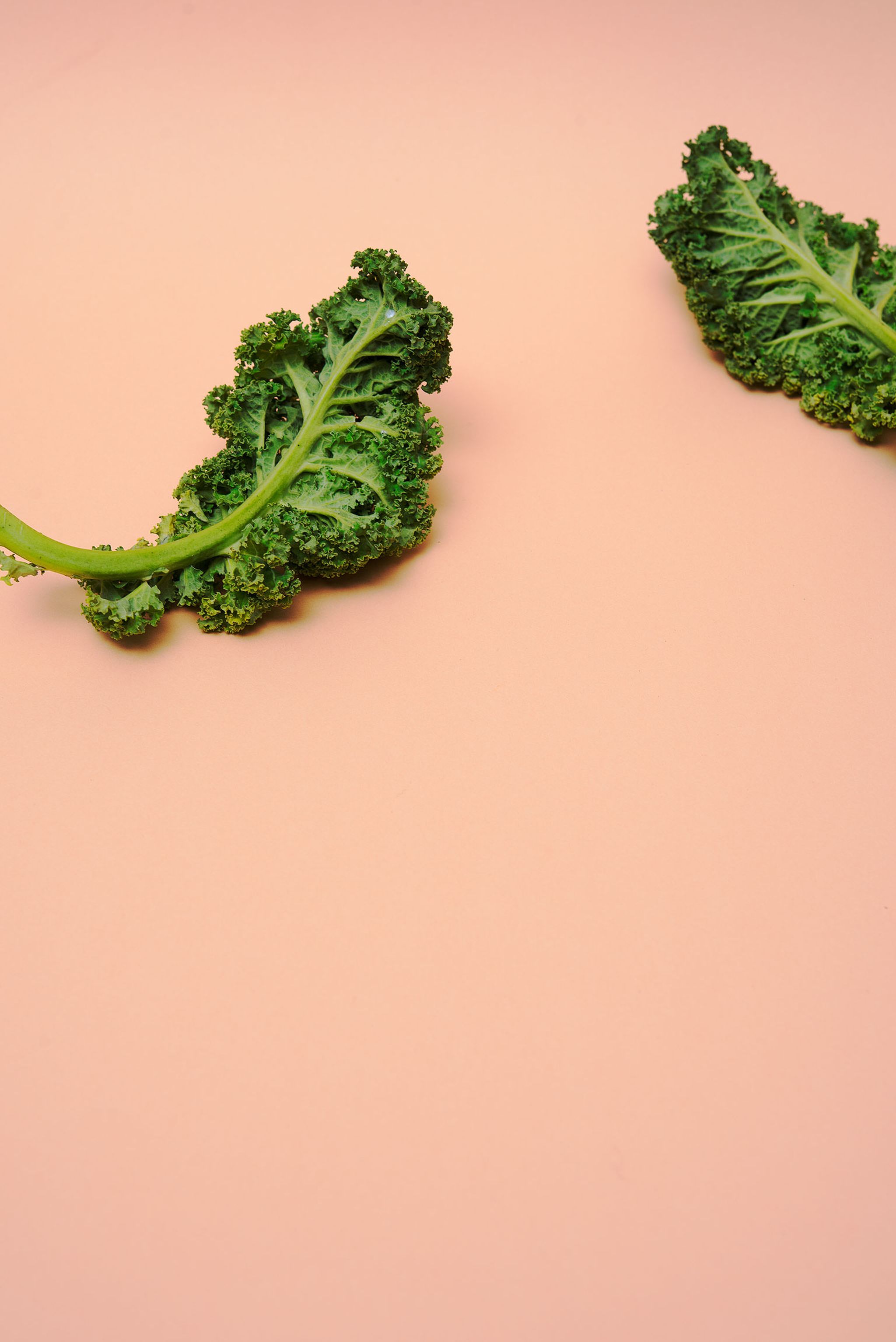 Everything to Know About Cooking and Shopping for In Season Kale ...