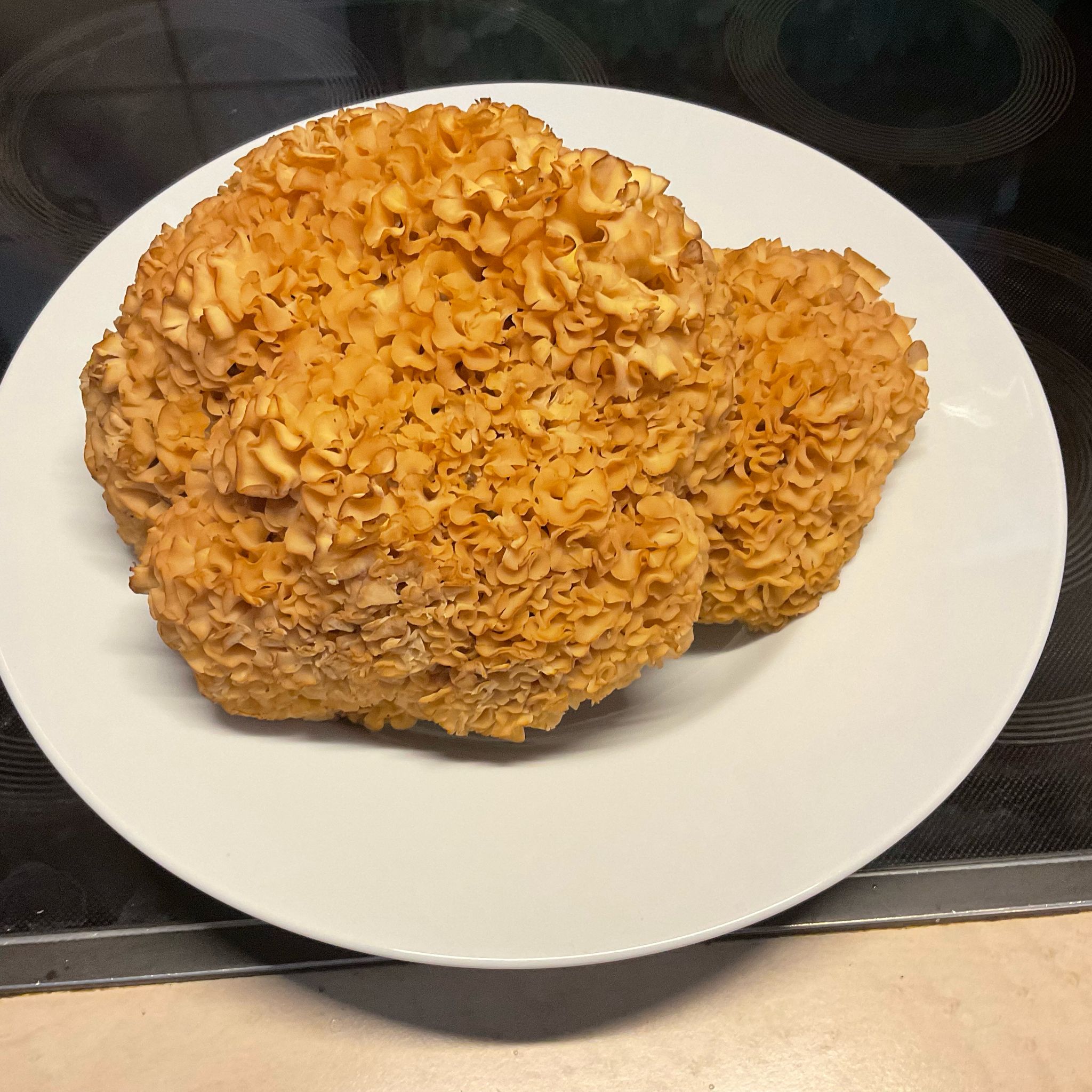 Krause Glucke (Pilz), Schweinefilet, Tagliatelle | Rezept | Kitchen Stories