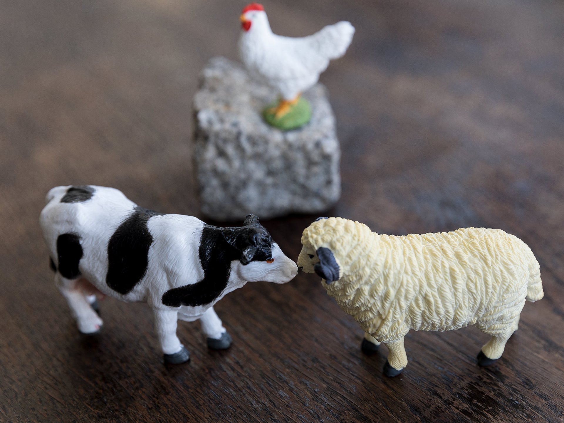 The Only Guide to Meat You'll Ever Need | Stories | Kitchen Stories