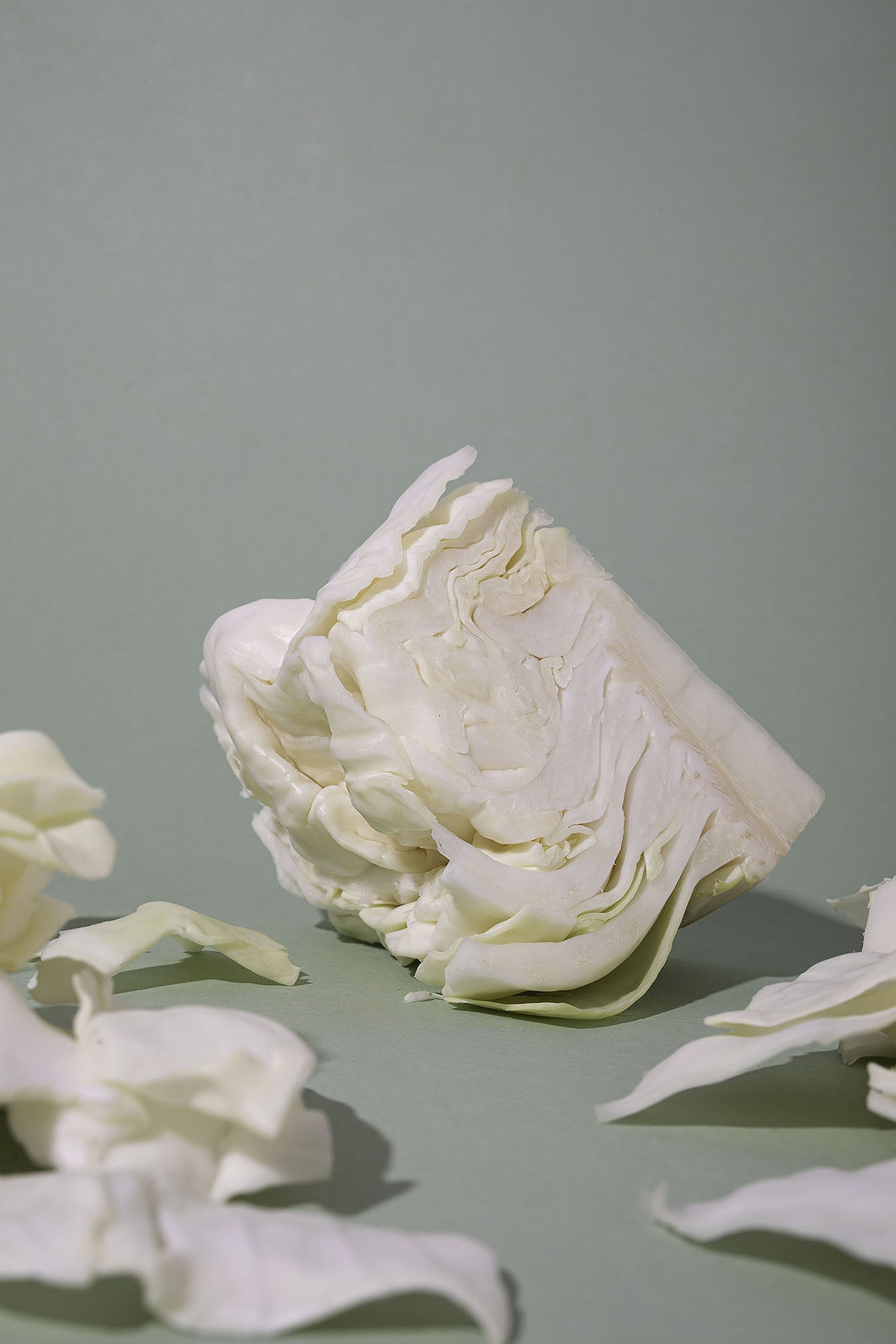 Everything You Need to Know About Preparing and Storing In Season White ...