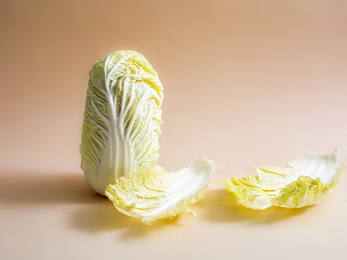 Everything You Need to Know About Preparing and Storing Napa Cabbage ...