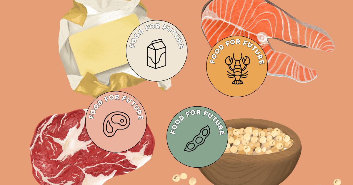 Looking Back at Food For Future: What We Learned and How We Plan to ...