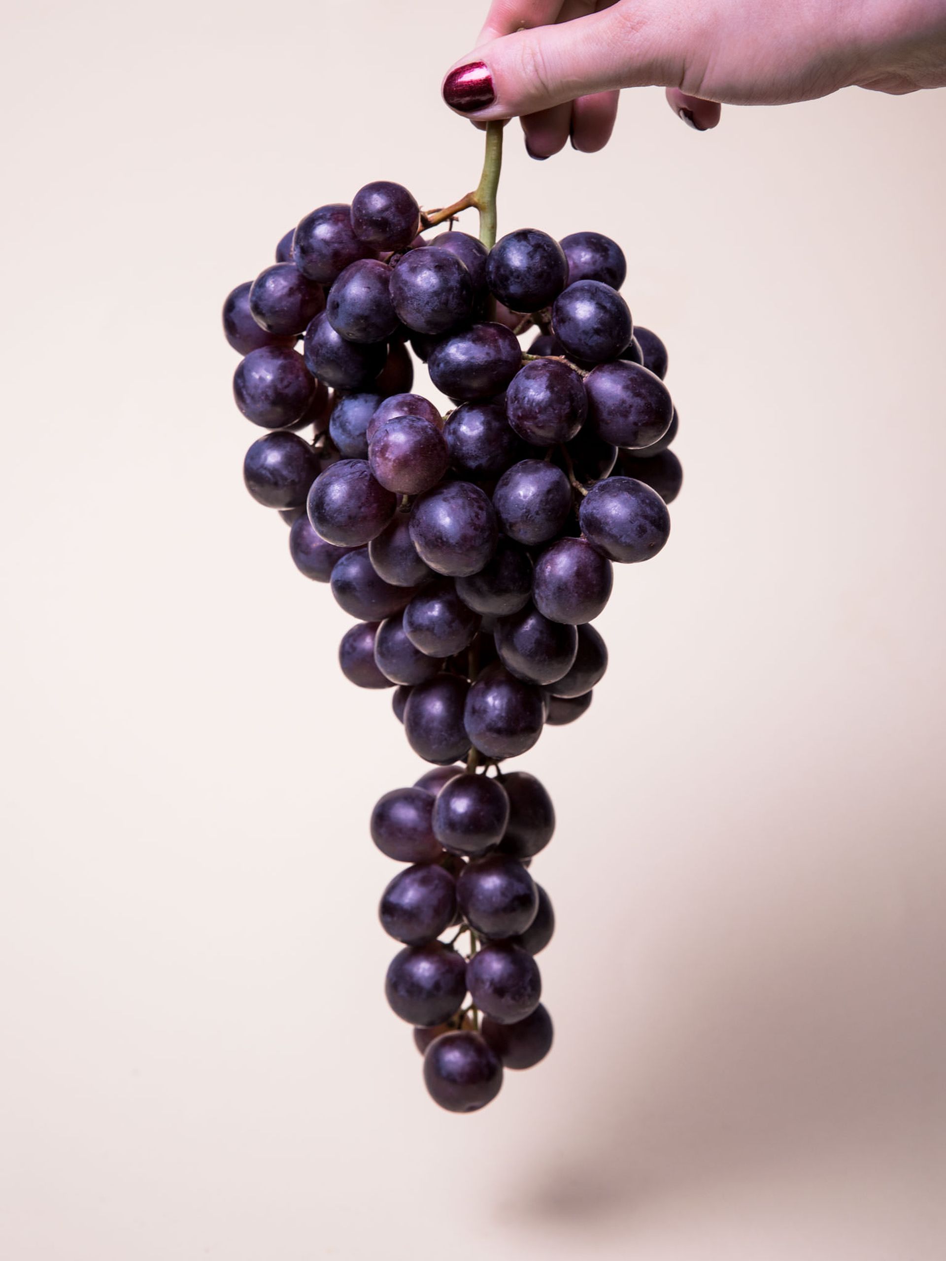 Everything to Know About Cooking and Shopping for In Season Grapes ...