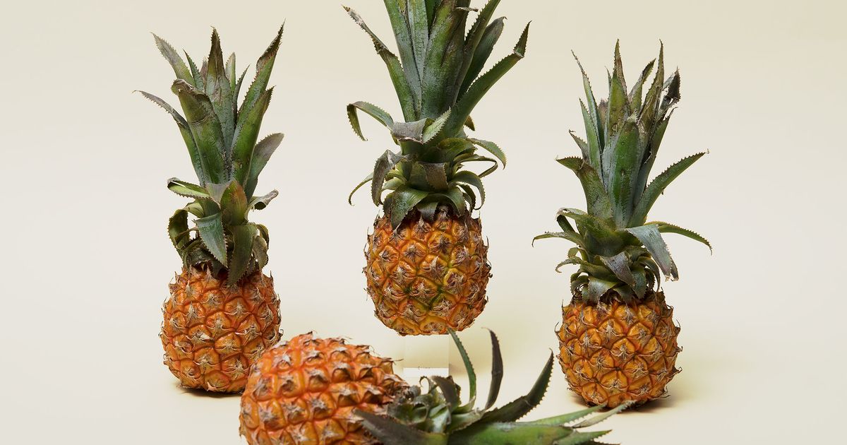 Everything to Know About Cooking and Shopping for In Season Pineapples ...