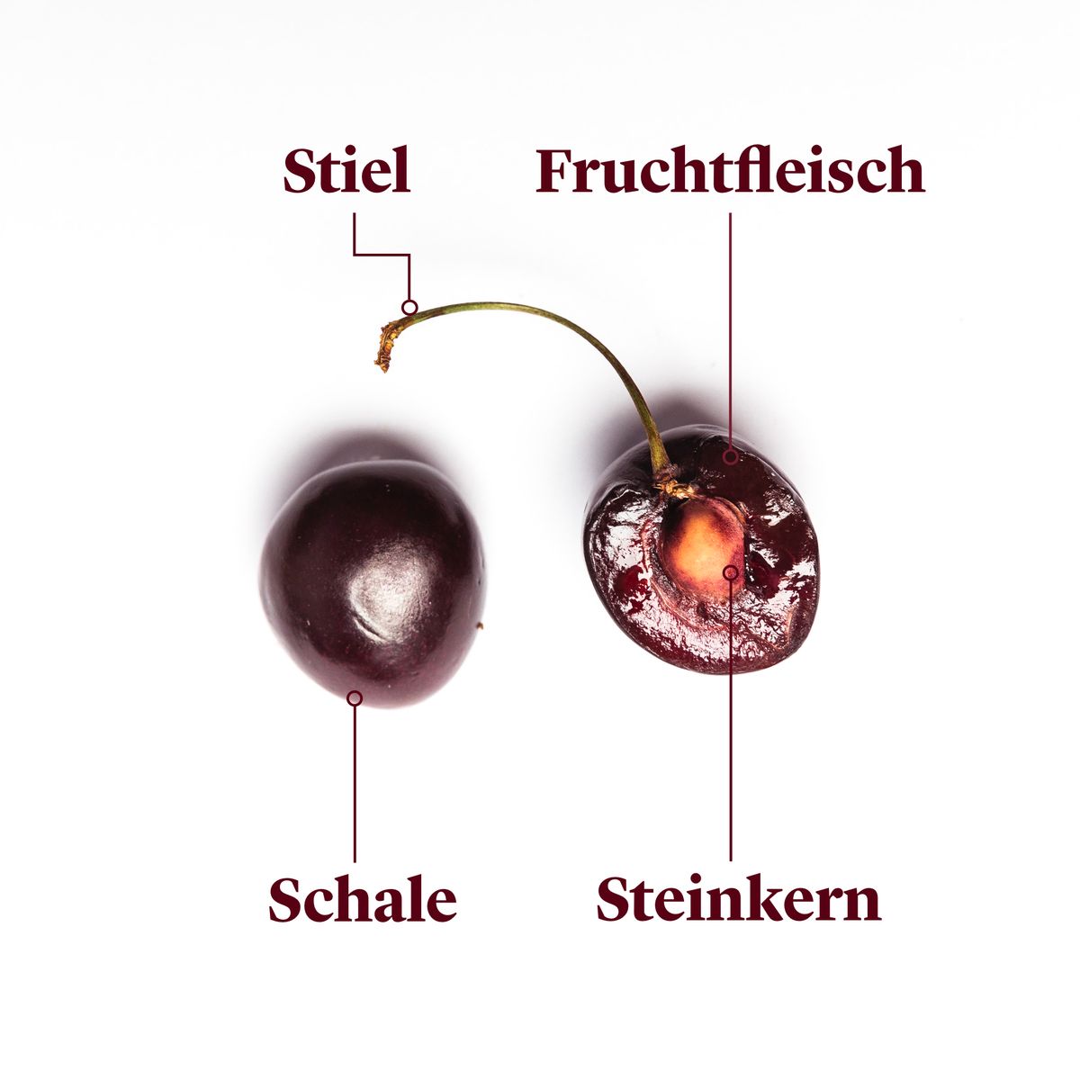 Jetzt in Saison: Kirschen richtig kaufen, lagern und zubereiten ...