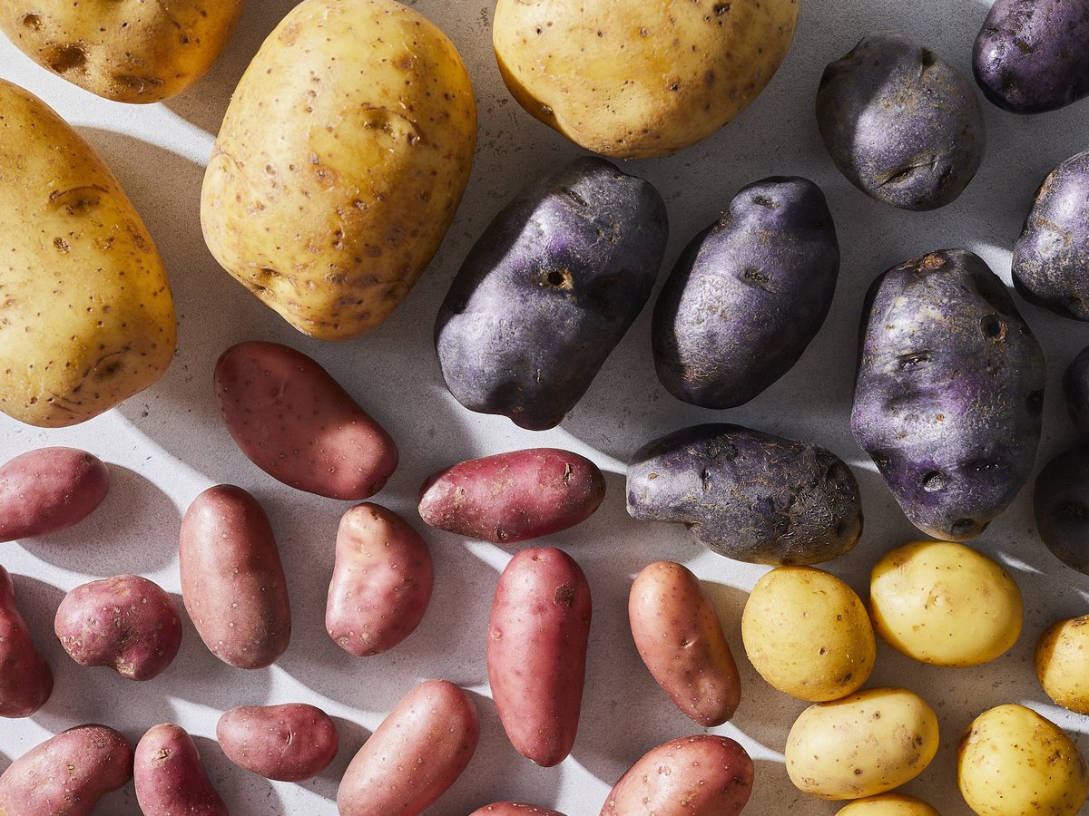 Know Your Potatoes: Choosing the Right Potato for Your Dish | Stories ...