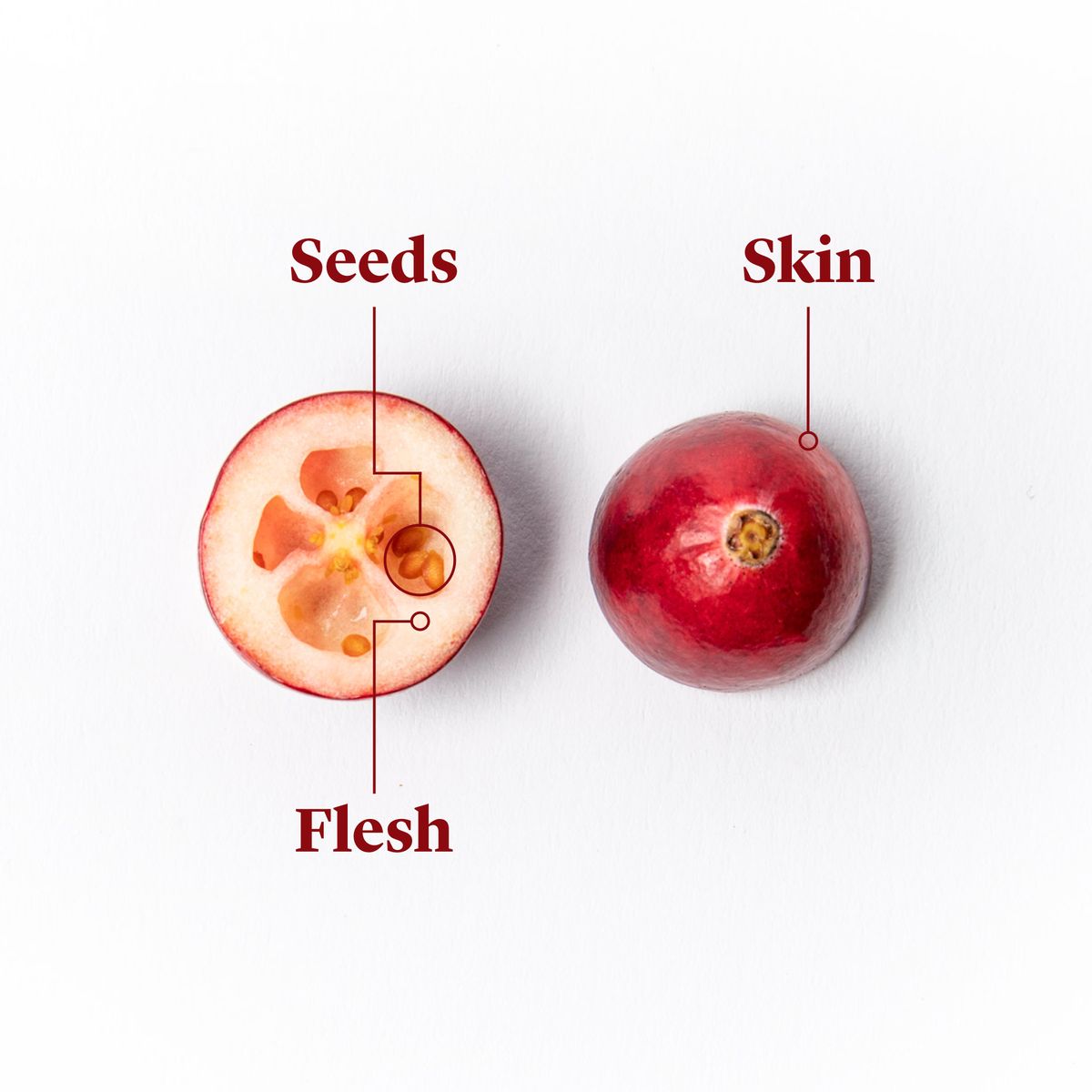 Everything You Need to Know About Cooking and Shopping for In Season ...