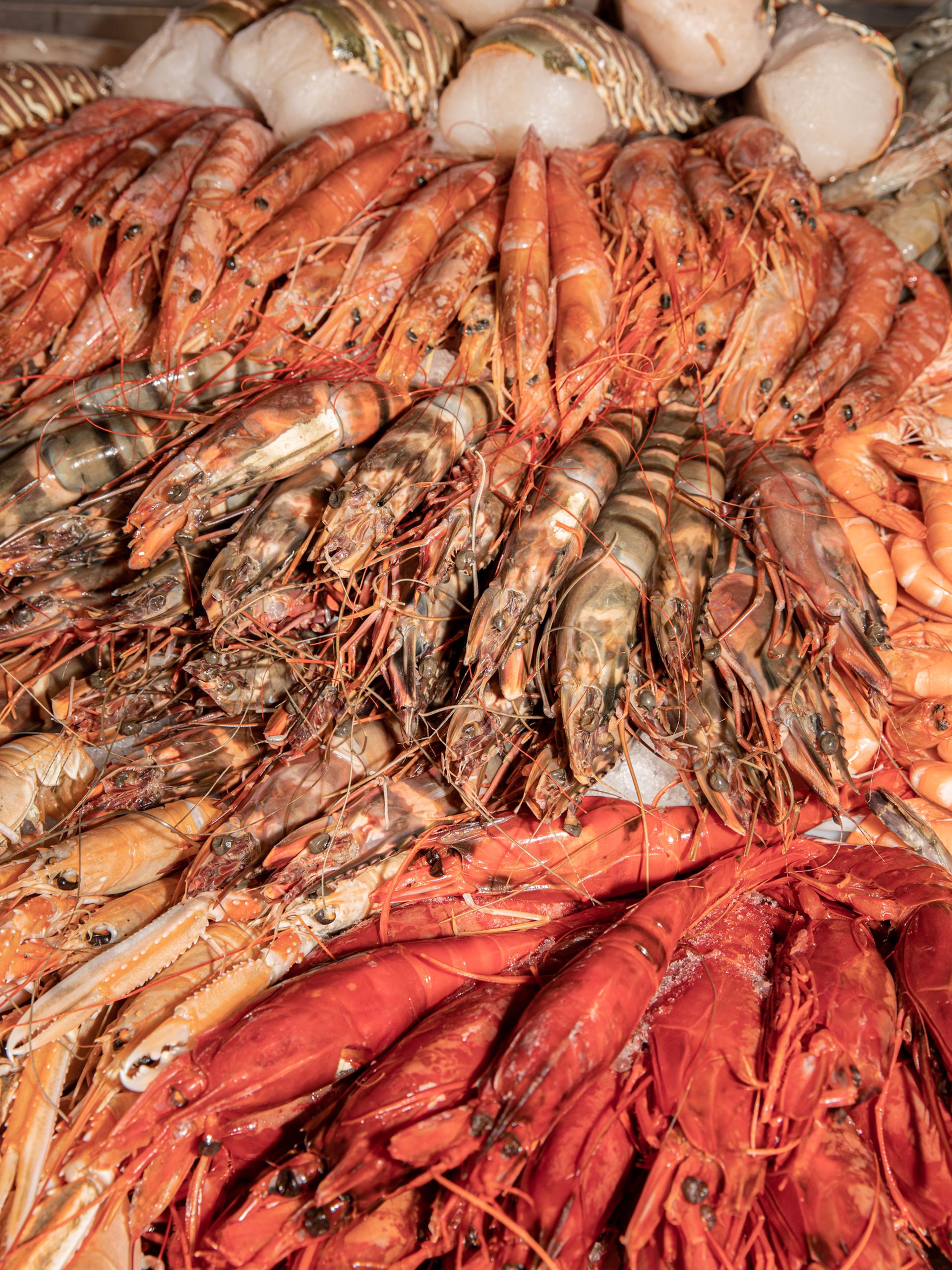 A Guide to Buying Fish and Seafood | Stories | Kitchen Stories