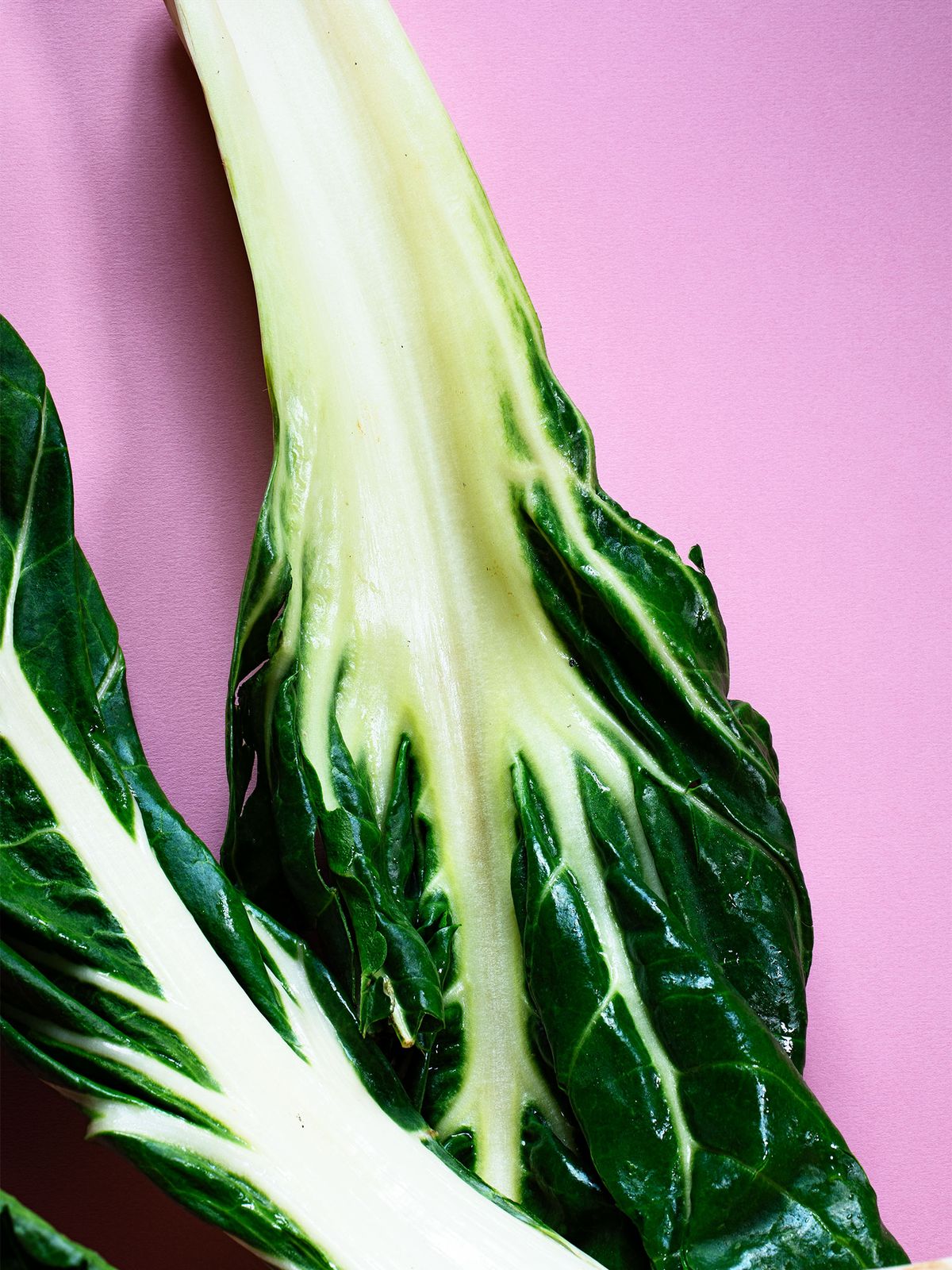 Everything to Know About Cooking and Shopping for In Season Swiss Chard ...