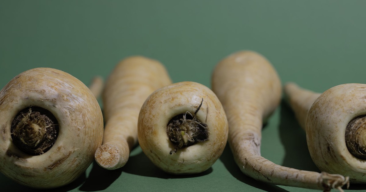 Everything You Need to Know About Preparing and Storing In Season ...