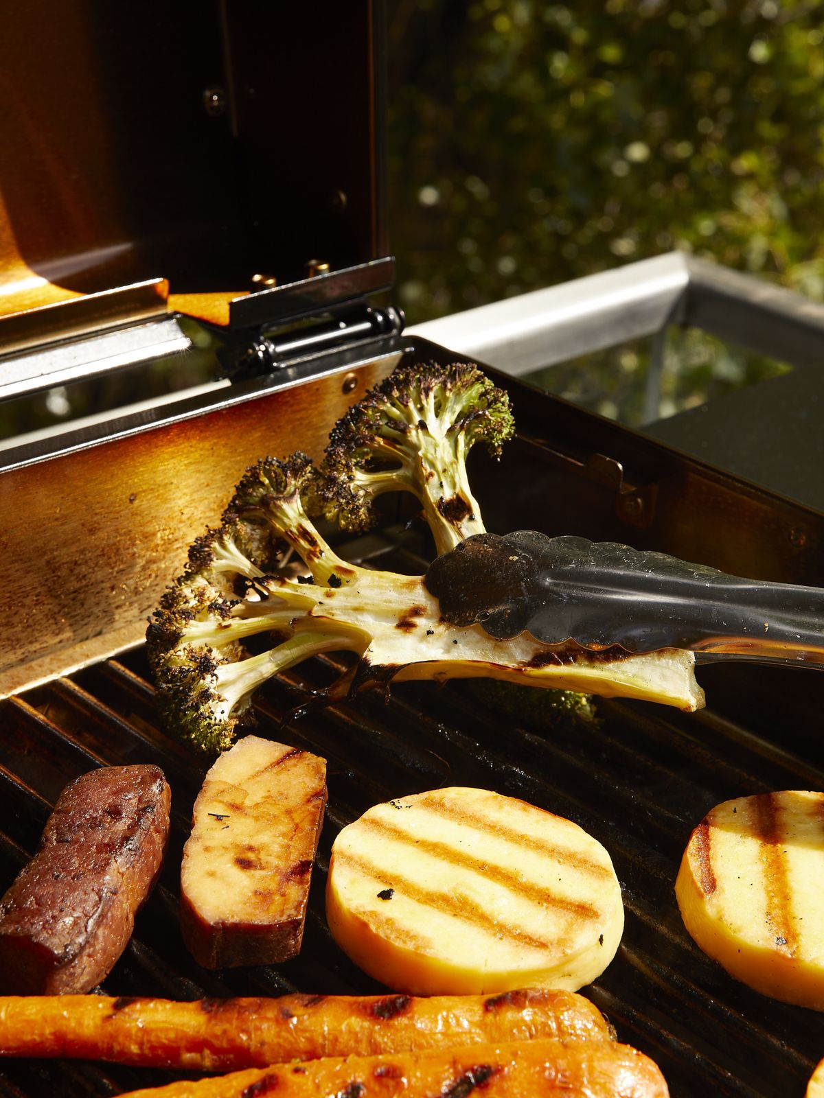 Vegetarian Grilling: Tips and Recipes for the Hottest Veggie BBQ Party ...