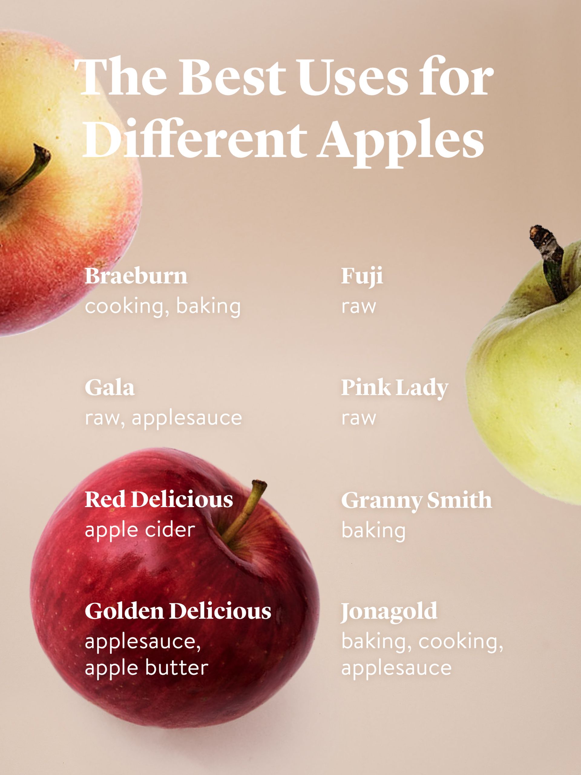 Everything to Know About Cooking and Shopping for In Season Apples ...