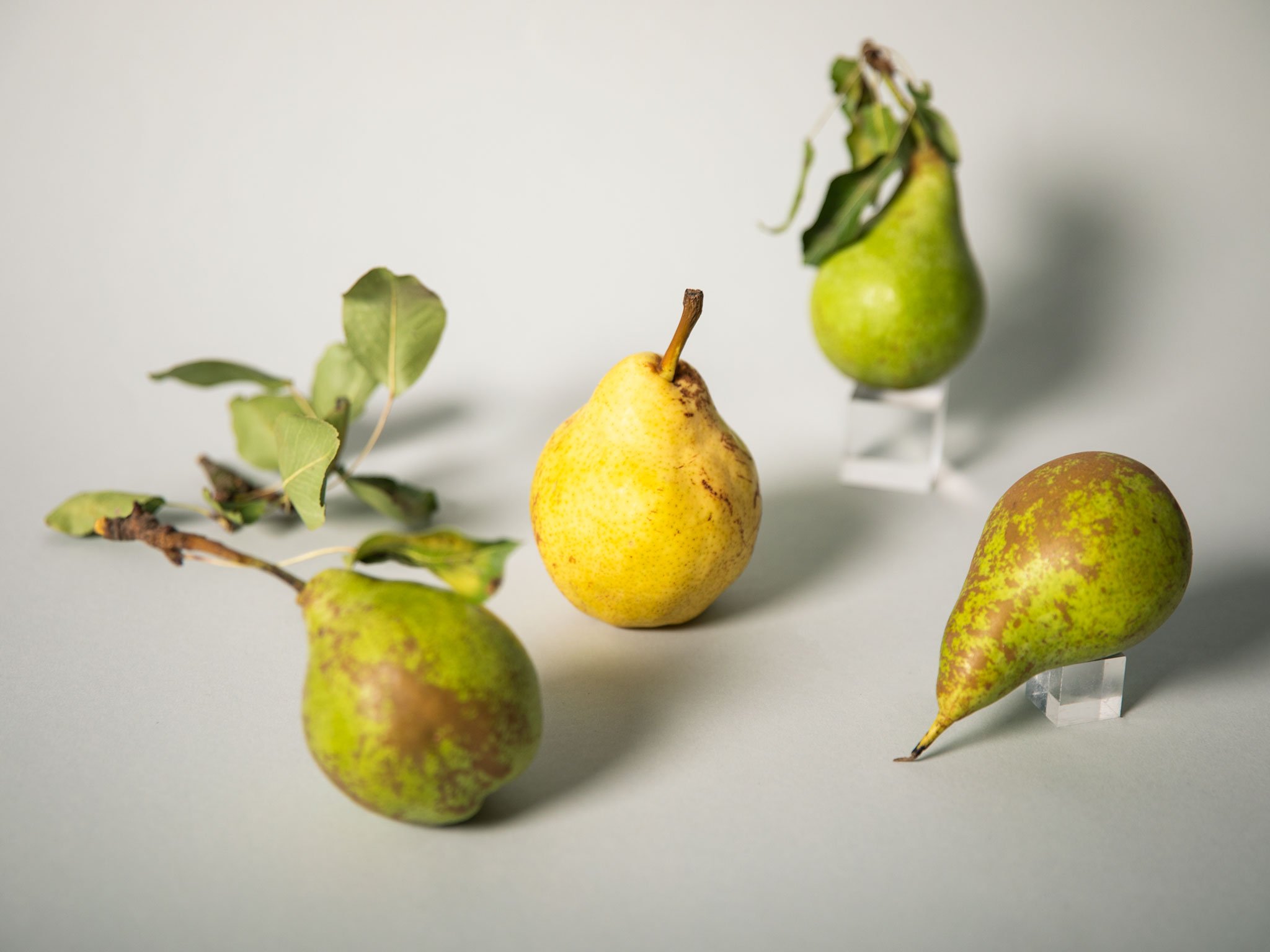 Everything to Know About Cooking and Shopping for In Season Pears ...