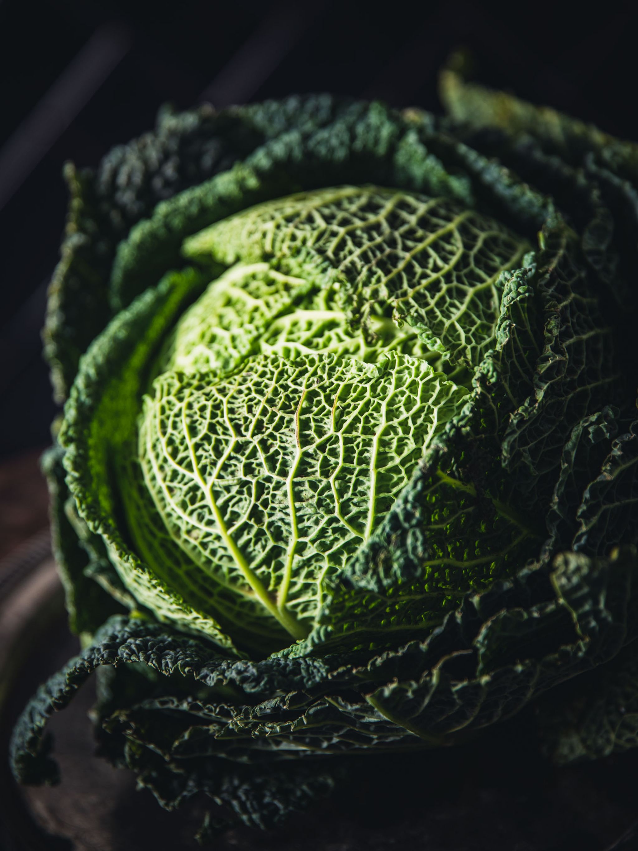 The Ultimate Guide to Cabbage: 11 Varieties and How to Use Them ...
