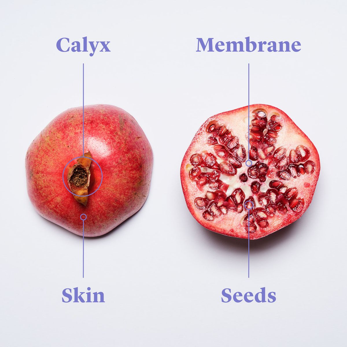 Everything to Know About Cooking and Shopping for In Season Pomegranate ...