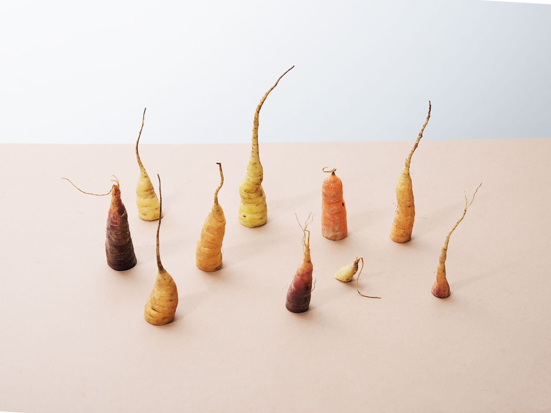 Everything to Know About Cooking and Shopping for In Season Carrots ...