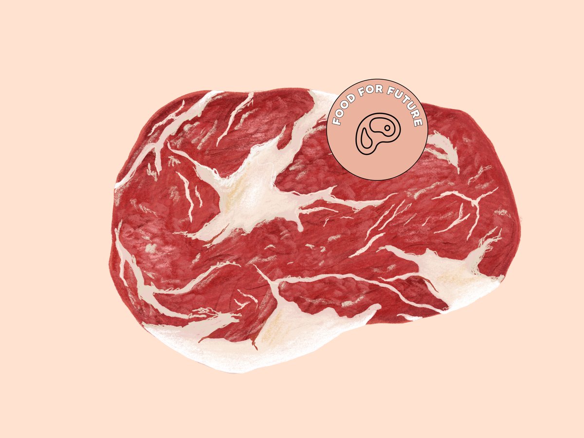 Eating for the Planet: The Case for Less Meat | Stories | Kitchen Stories