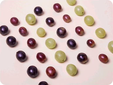 Everything to Know About Cooking and Shopping for In Season Grapes ...