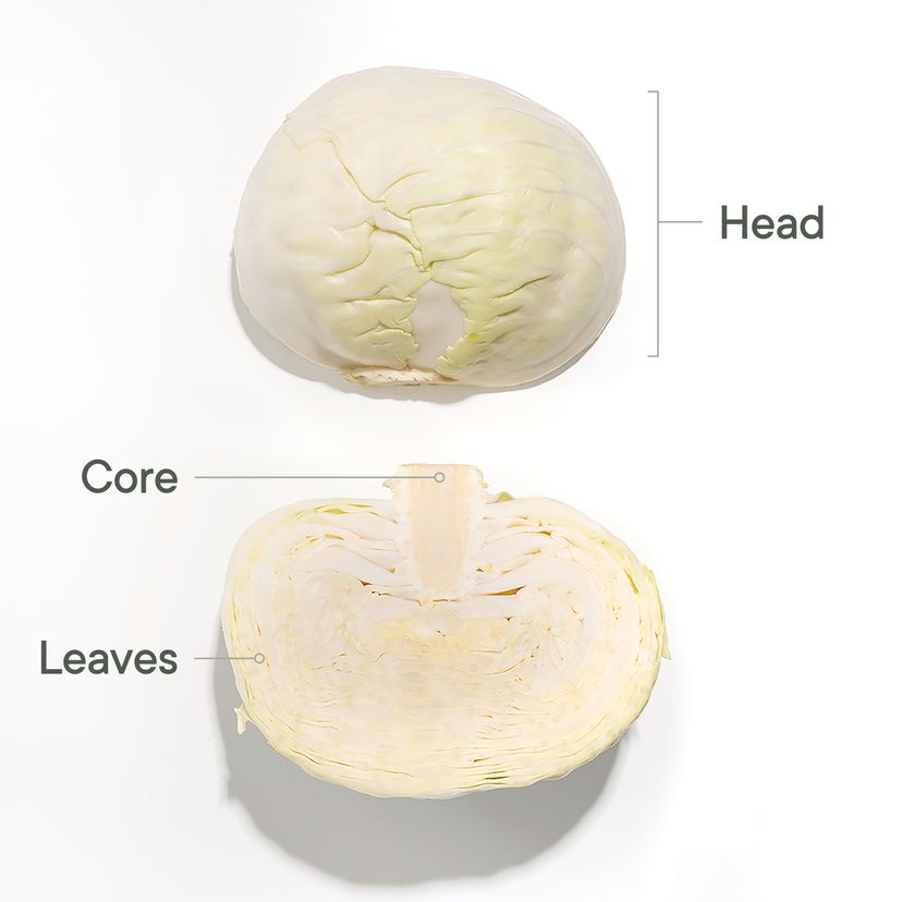 Everything You Need to Know About Preparing and Storing In Season White ...