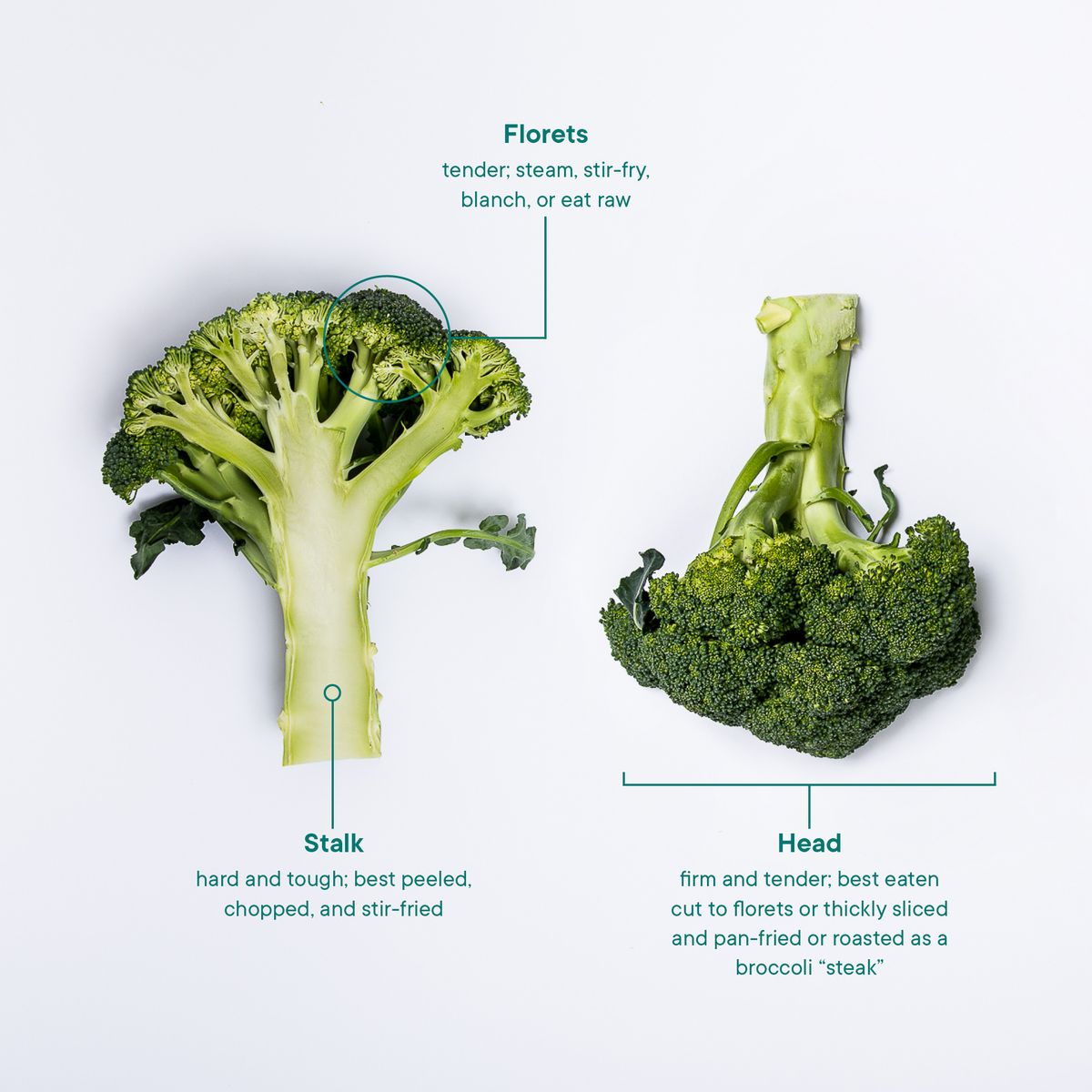 Everything You Need to Know About Preparing and Storing Broccoli ...