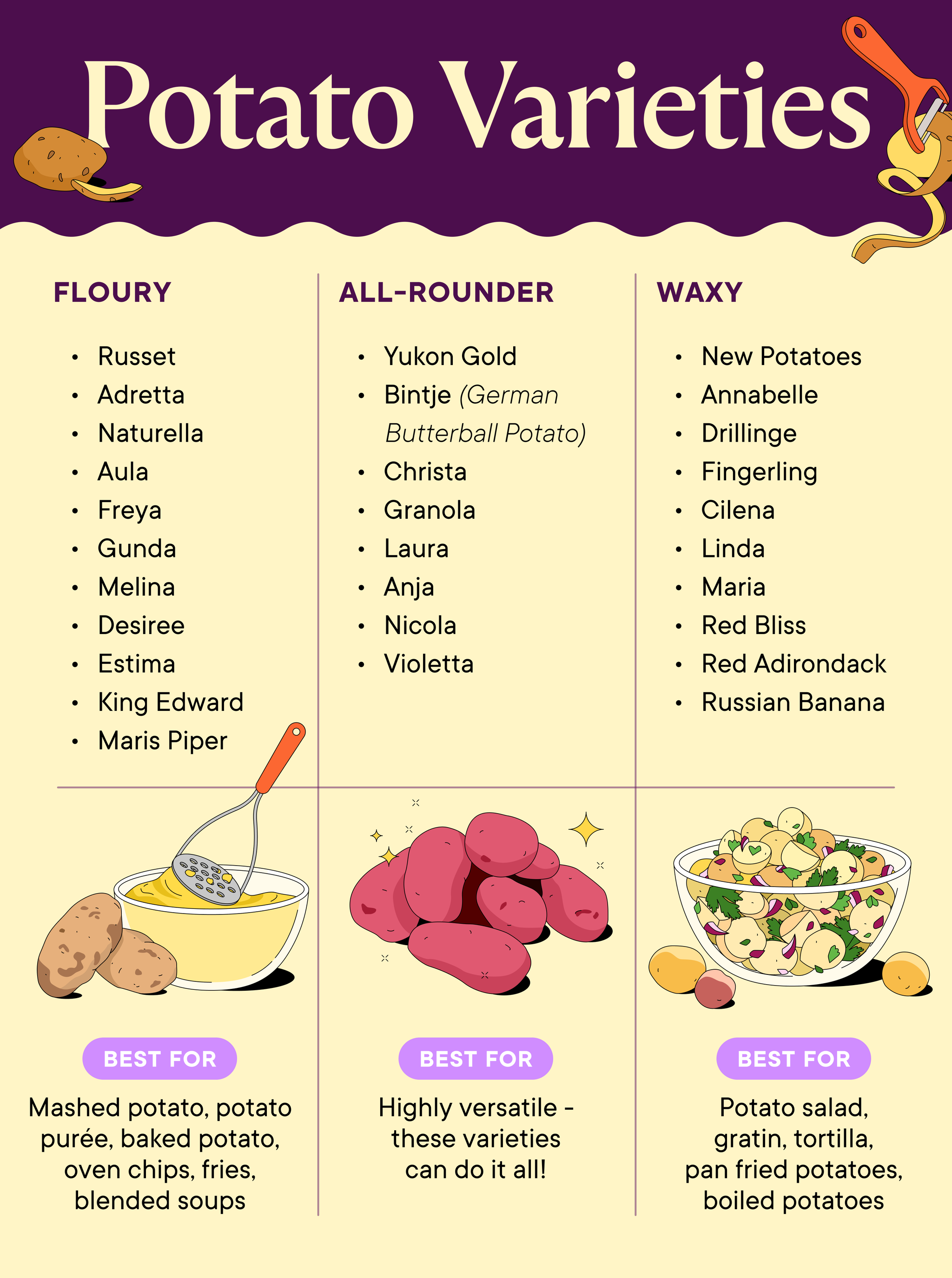 Know Your Potatoes: Choosing the Right Potato for Your Dish | Stories ...
