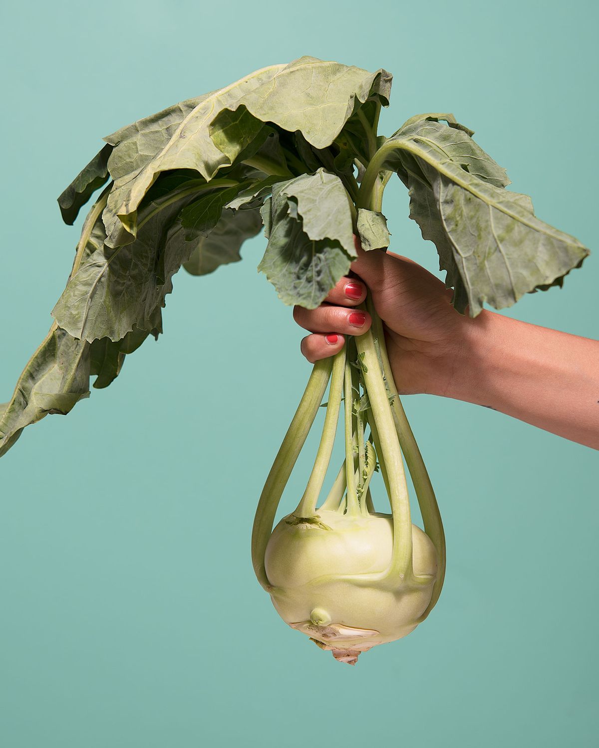 Everything to Know About Cooking and Shopping for In Season Kohlrabi ...
