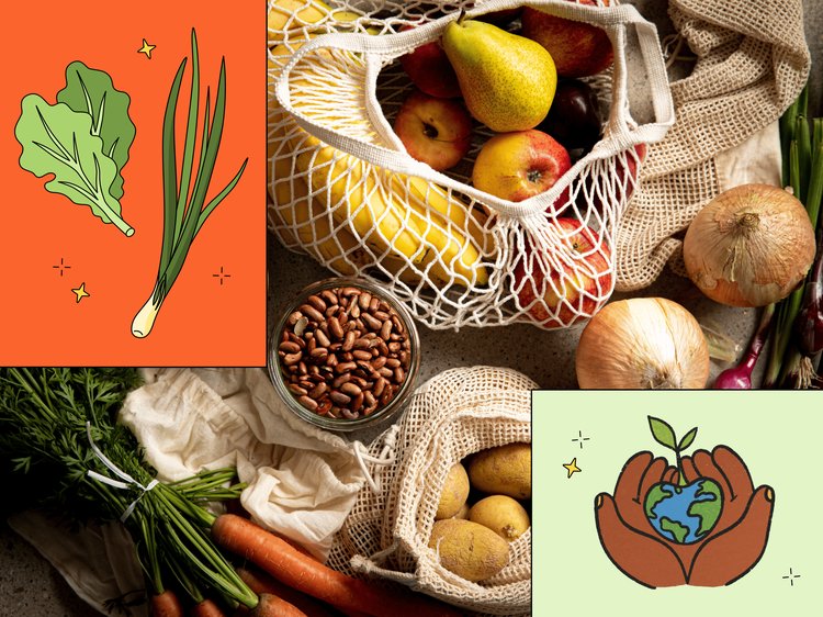 Regenerative Food: Wie eine neue Art der nachhaltigen Ernährung Boden ...