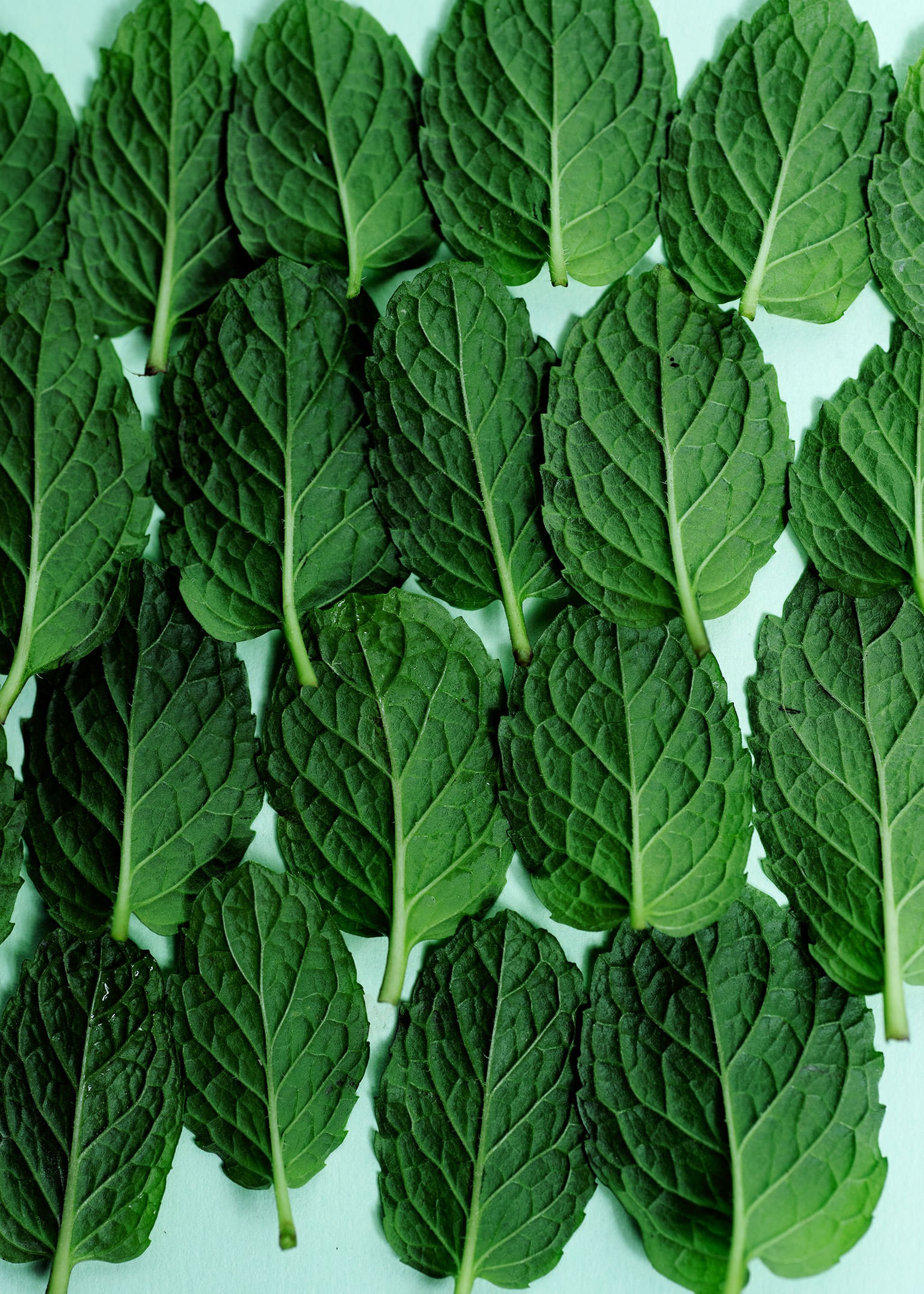 Everything You Need to Know About Cooking and Shopping for In Season ...