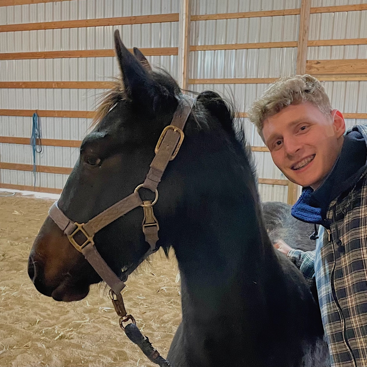 Kapamas stifado (pork with caramelized onions) | Recipe | Kitchen Stories