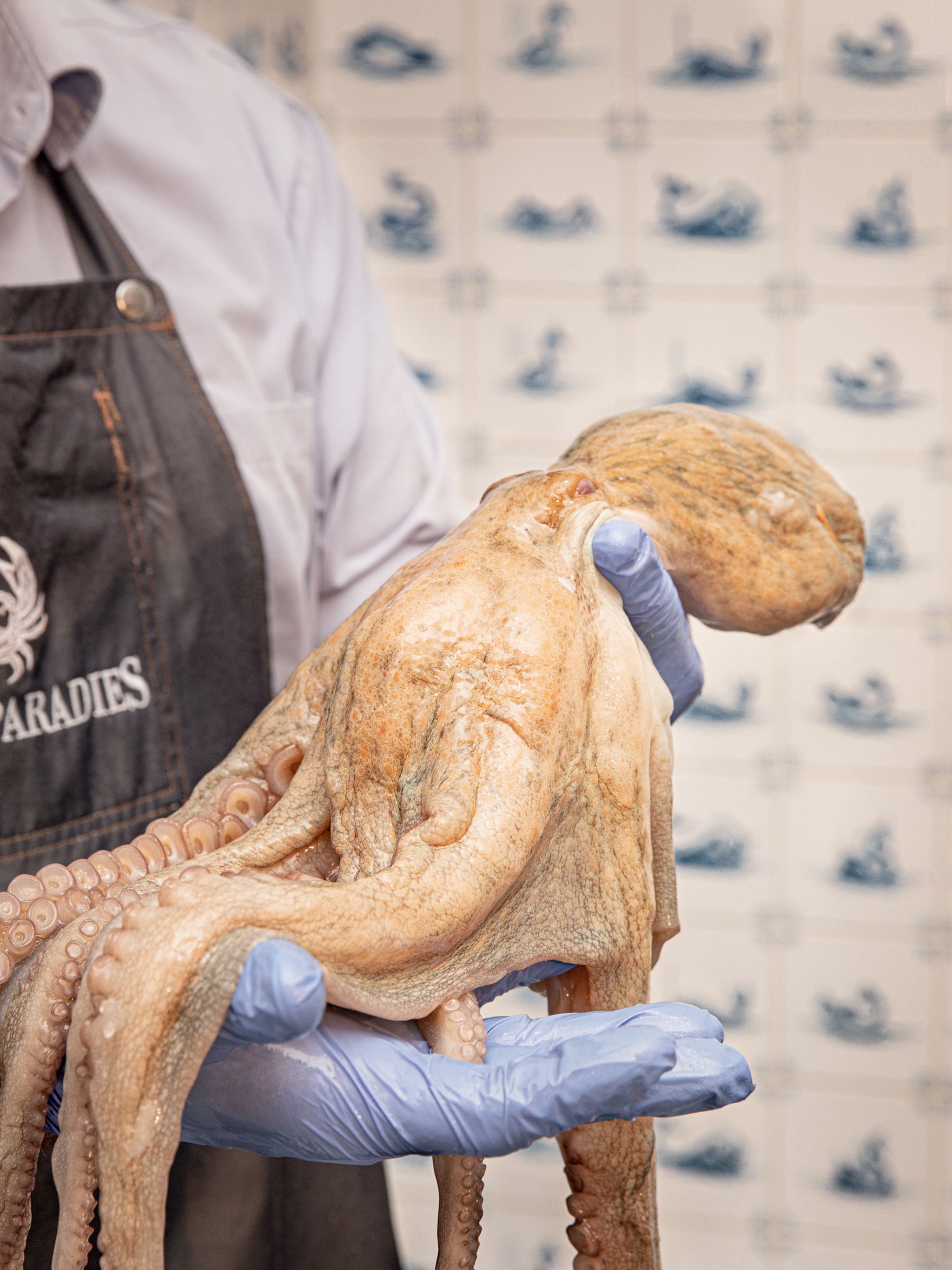 A Guide to Buying Fish and Seafood | Stories | Kitchen Stories