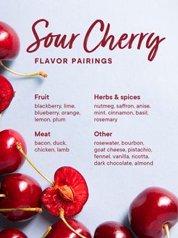 Everything You Need to Know About Preparing and Storing In Season Sour ...