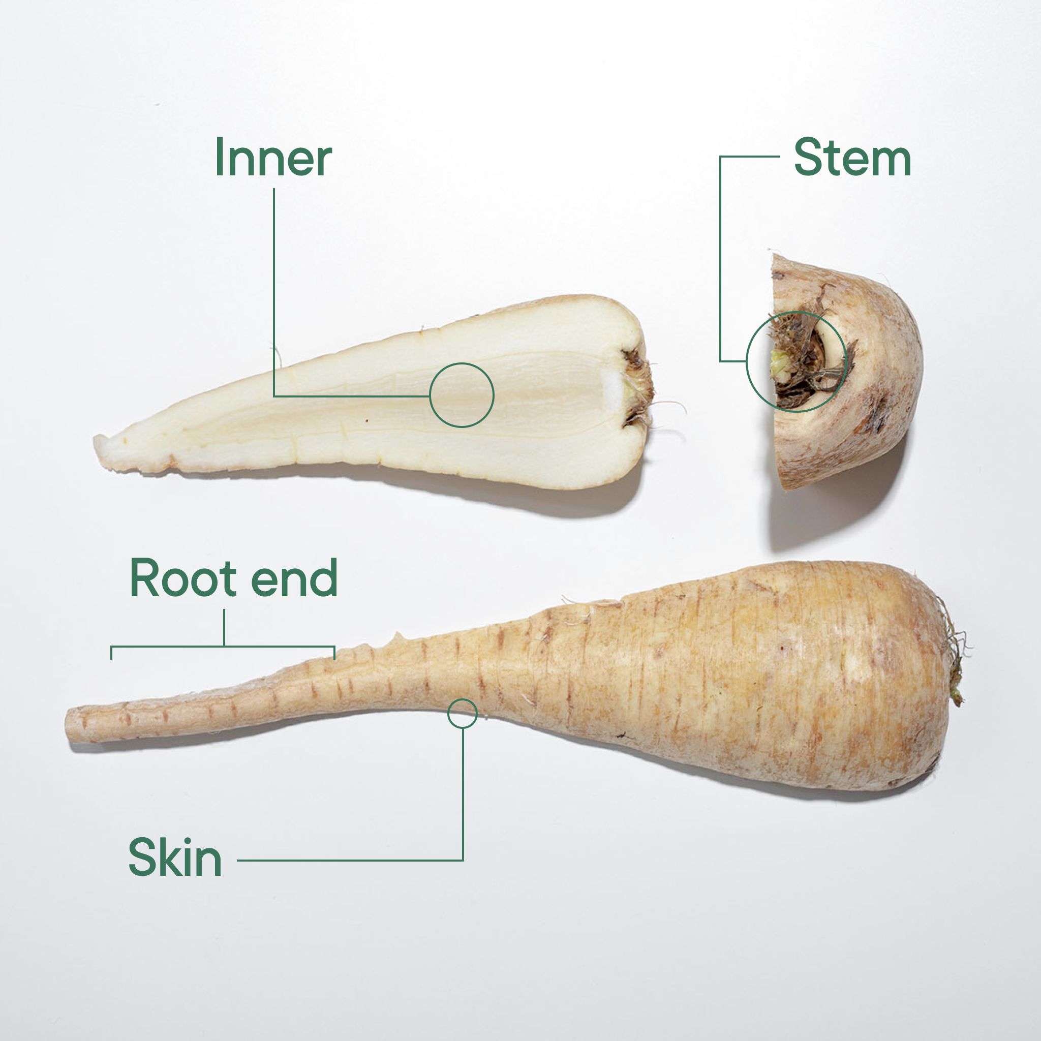 Everything You Need to Know About Preparing and Storing In Season ...