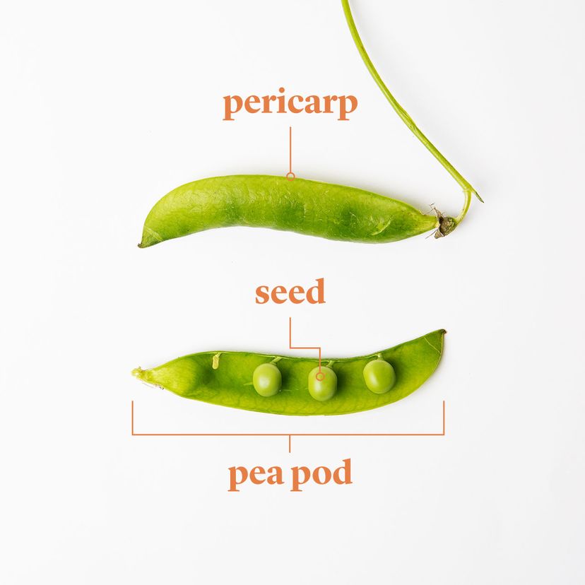 Everything to Know About Cooking and Shopping for In Season Peas ...
