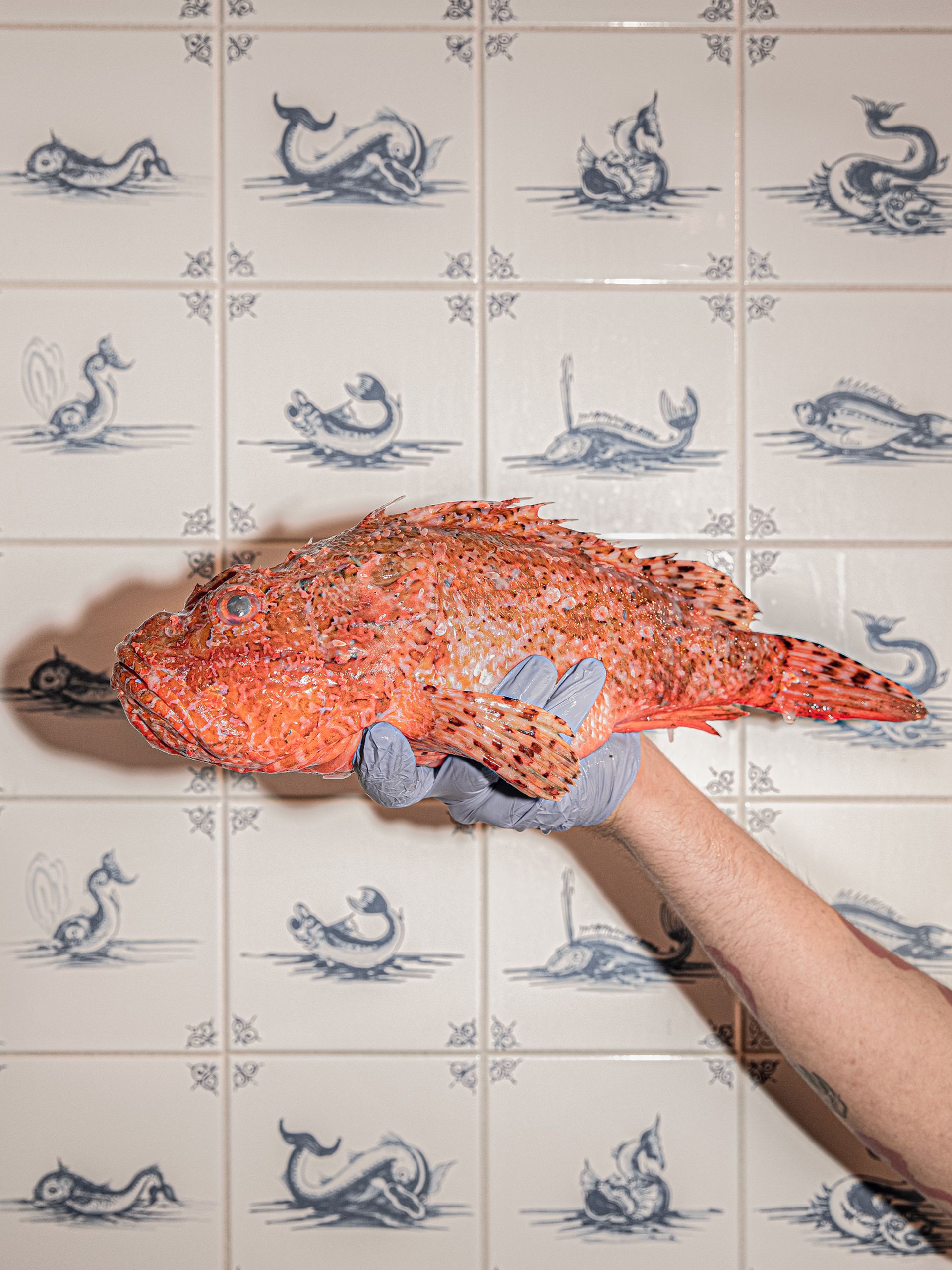 A Guide to Buying Fish and Seafood | Stories | Kitchen Stories